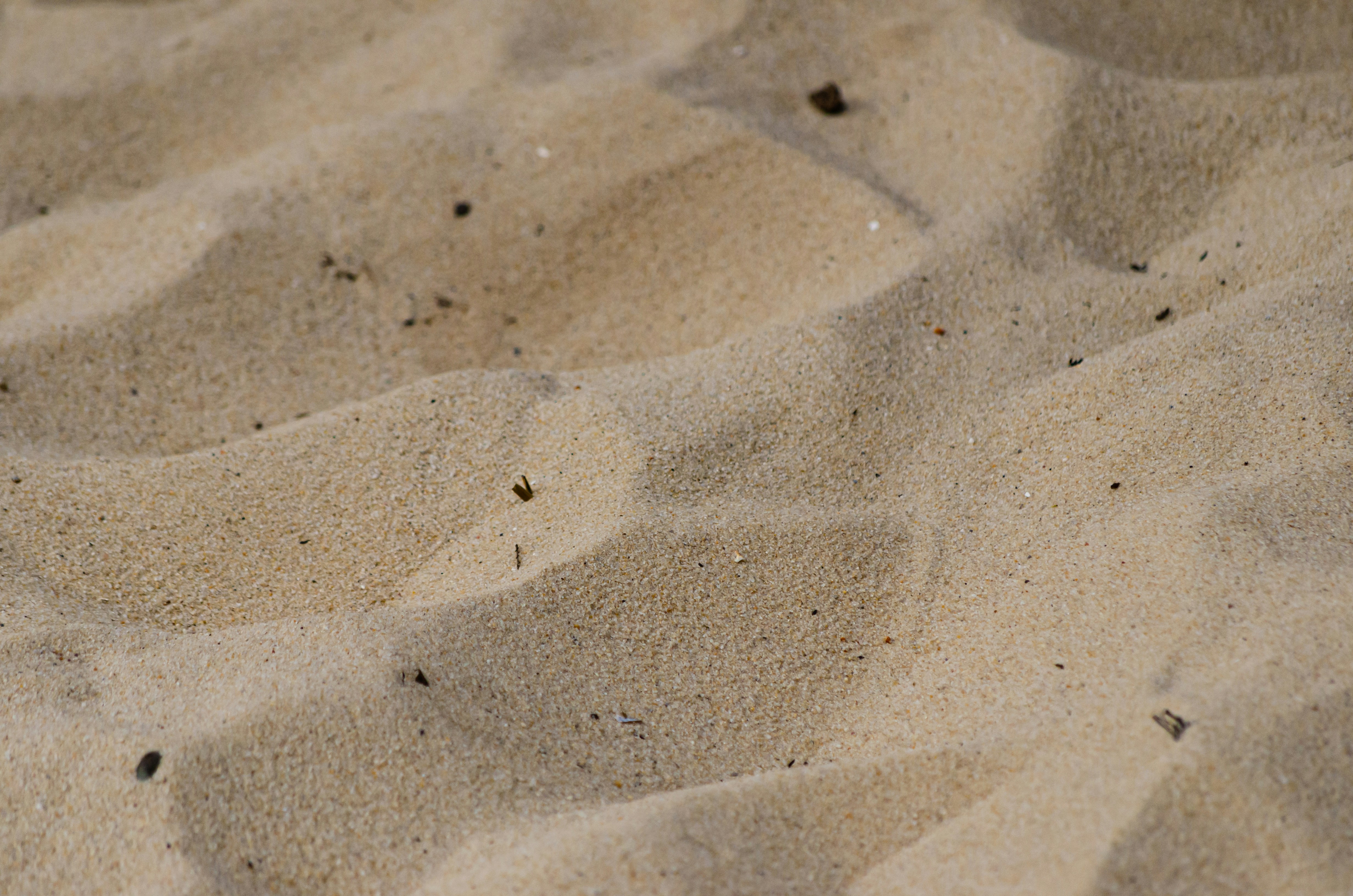 A close up of sand with a small amount of sand on it photo – Free Sand ...