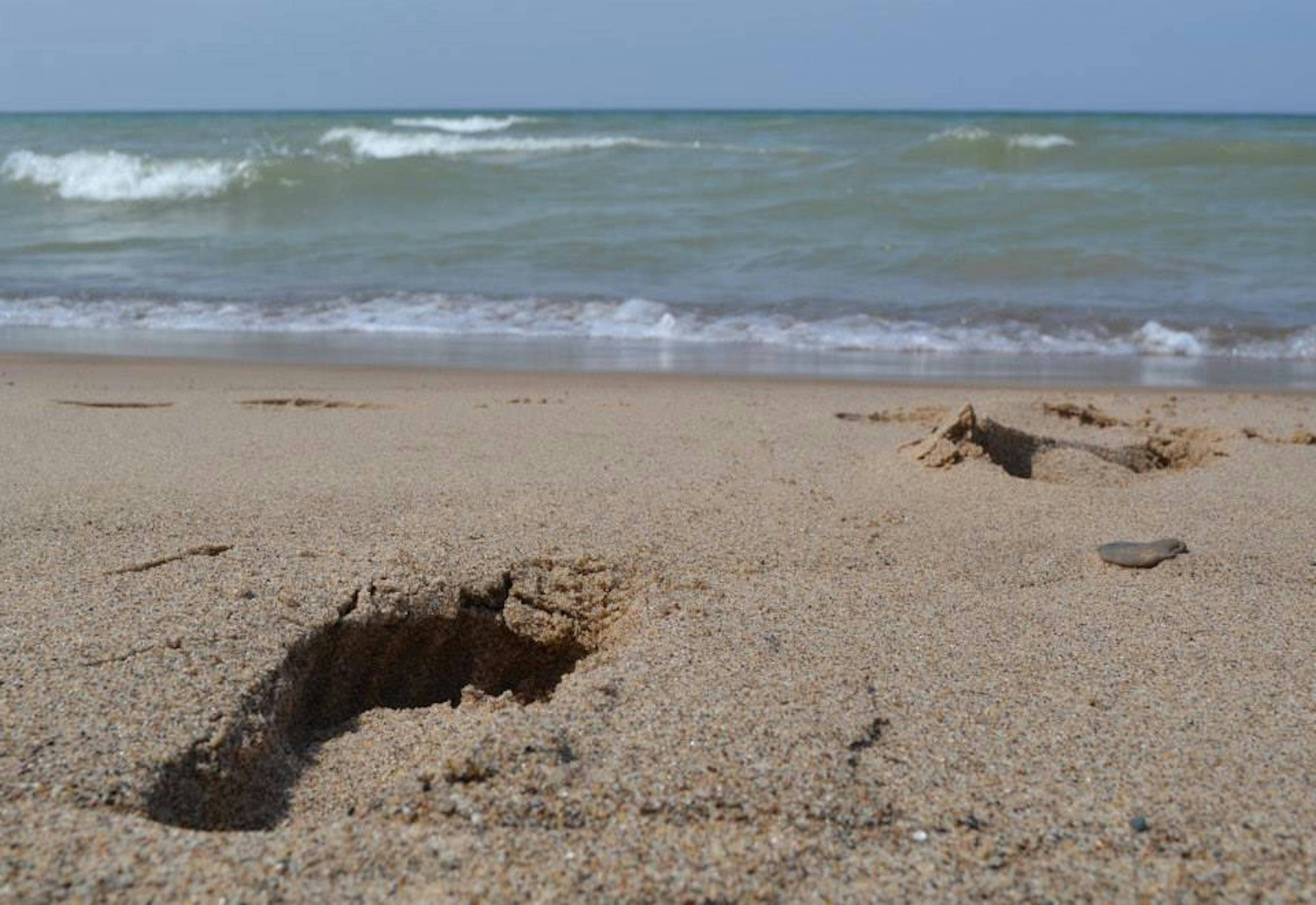 Foto zum Thema Ein kleines Loch im Sand am Strand – Kostenloses Bild zu ...