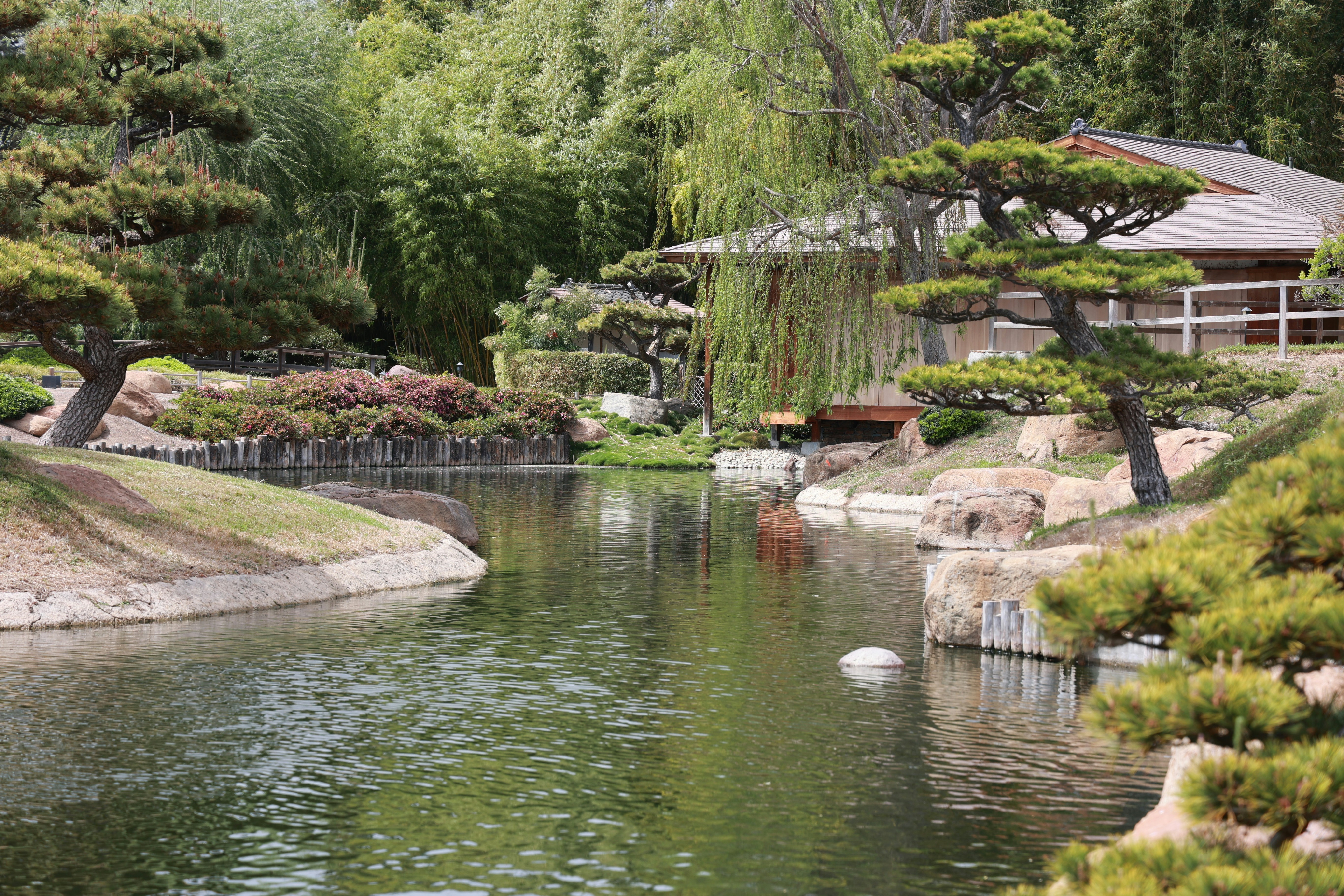 A pond surrounded by trees and rocks photo – Free Water Image on Unsplash