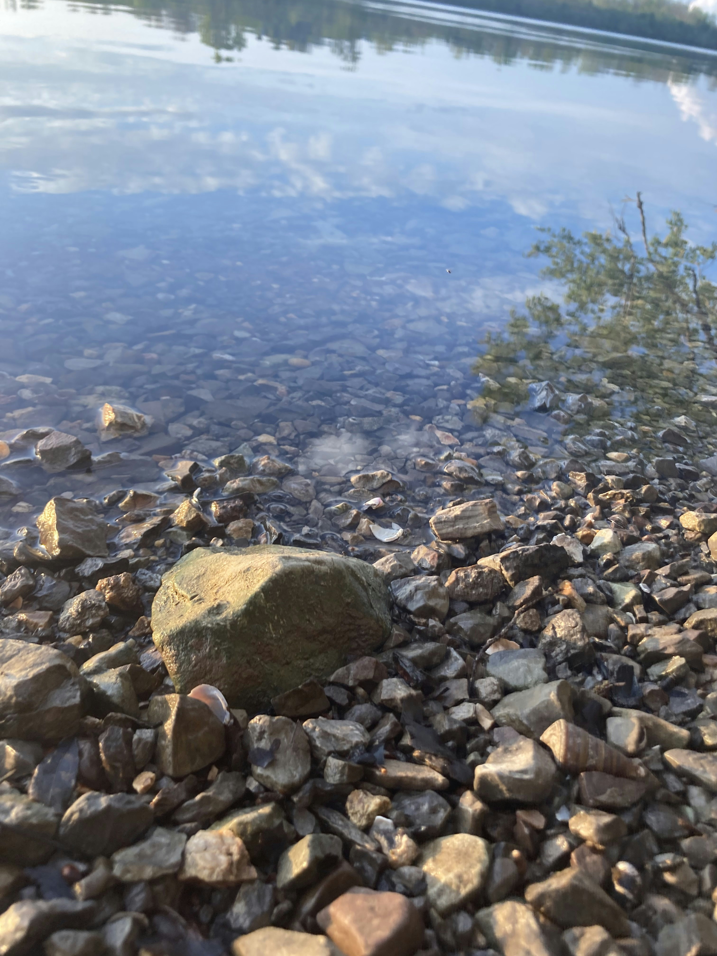 A rock on the ground next to a body of water photo – Free Water Image ...