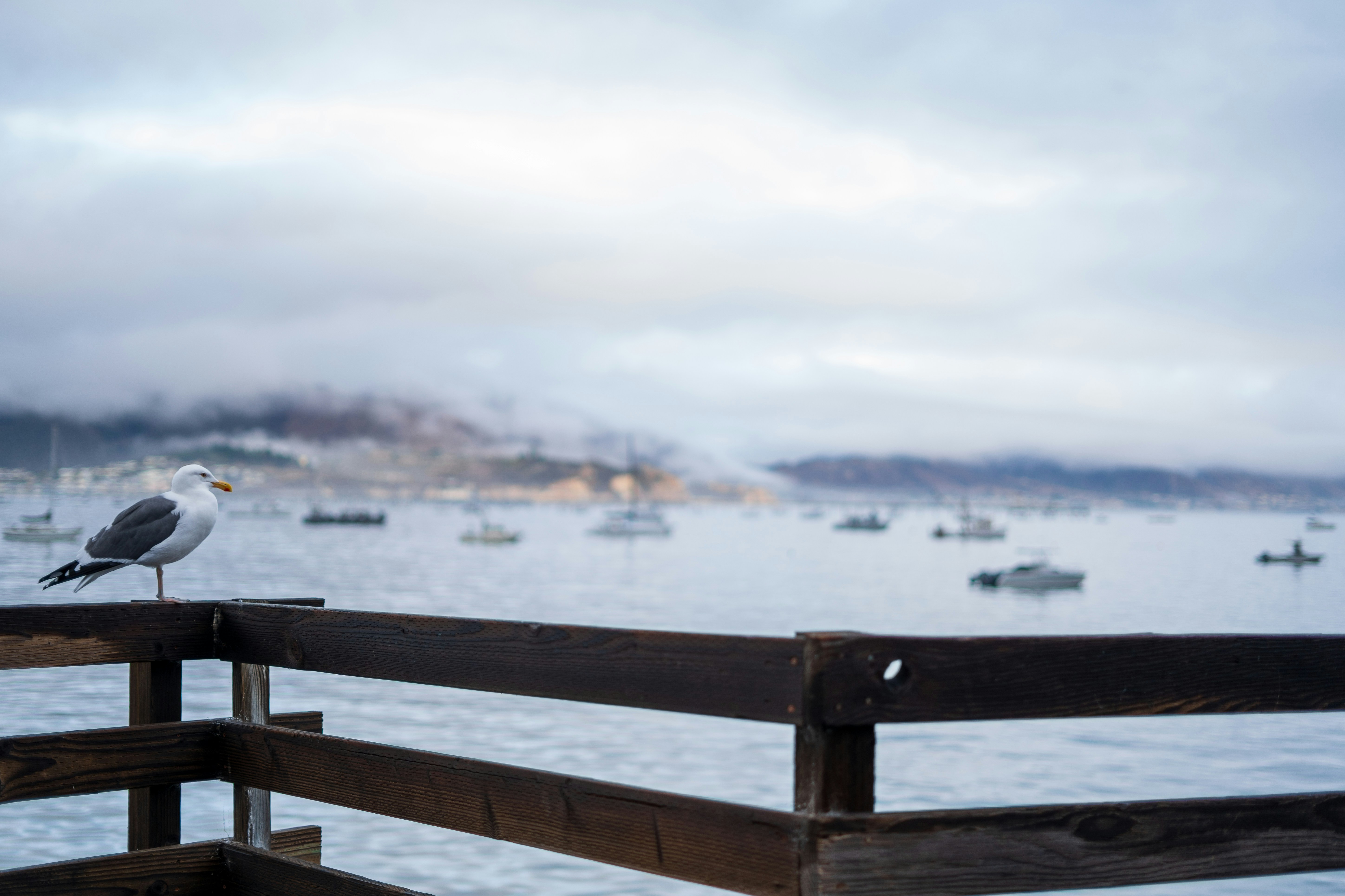 Caden Drysdale (@cadendrysdale) | Komunitas Foto Unsplash