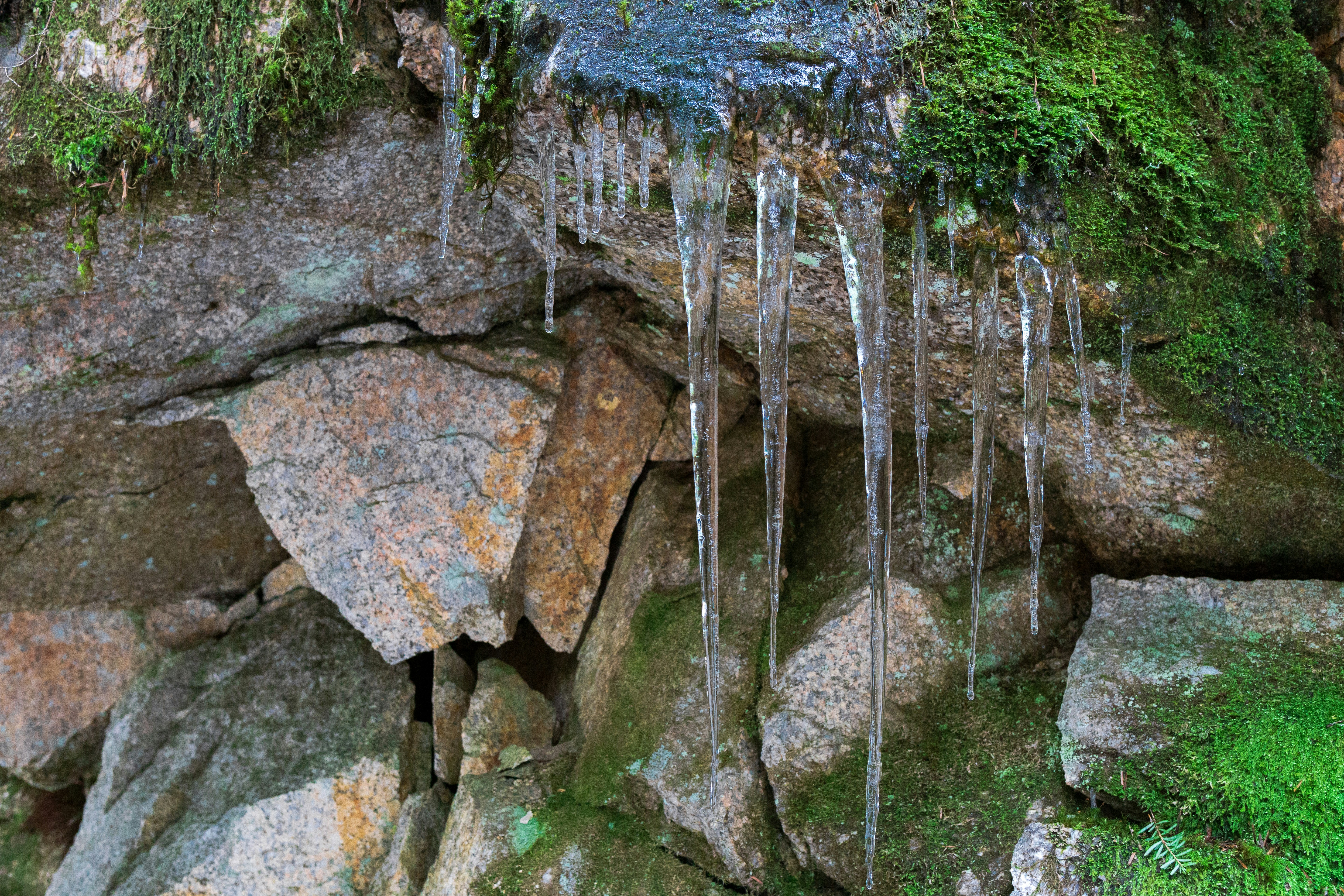A group of water spewing out of a rock photo – Free Nature Image on ...