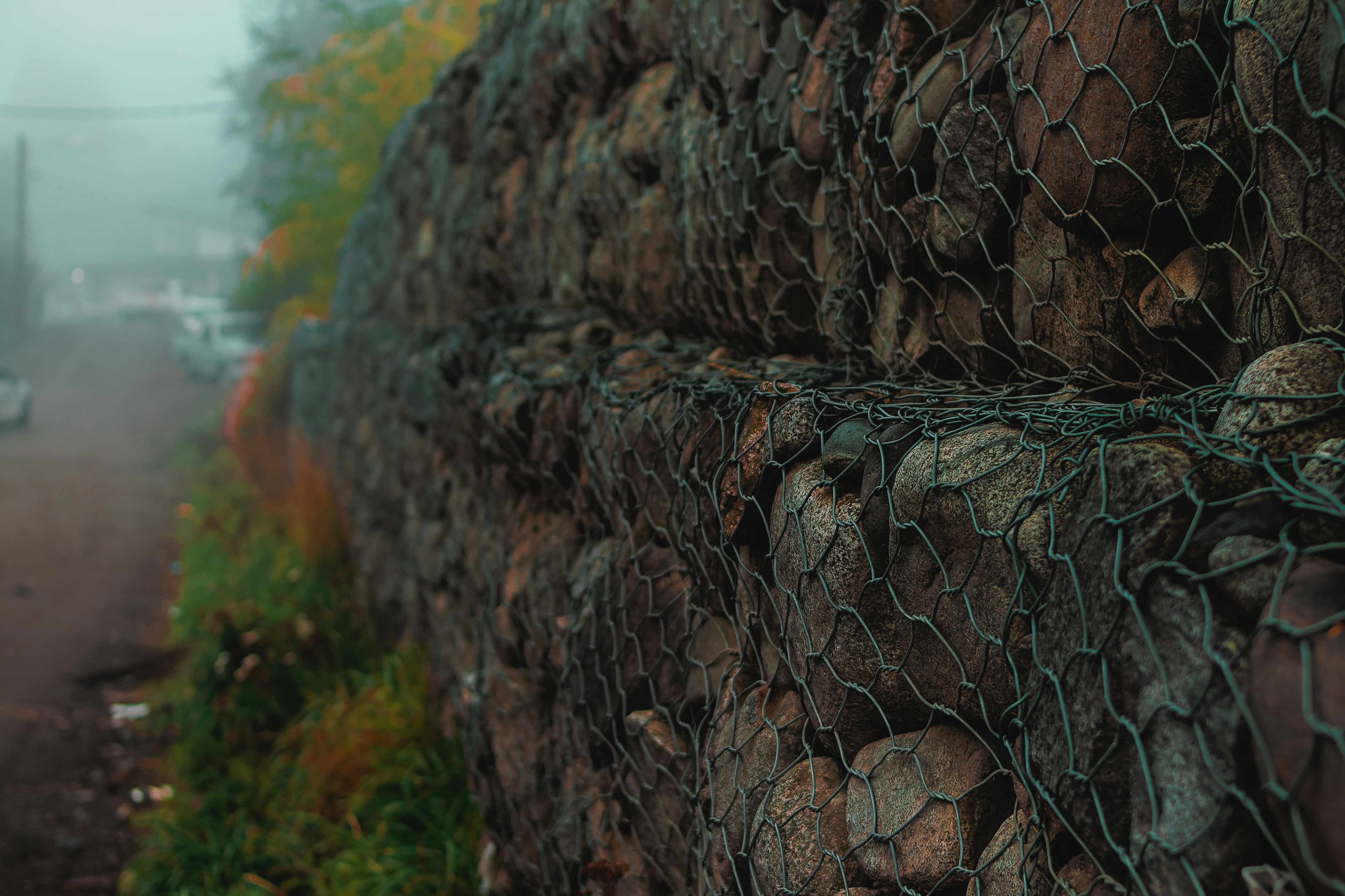 Stone Mesh in Fog: A Quiet Boundary Framed by Moss and Metal