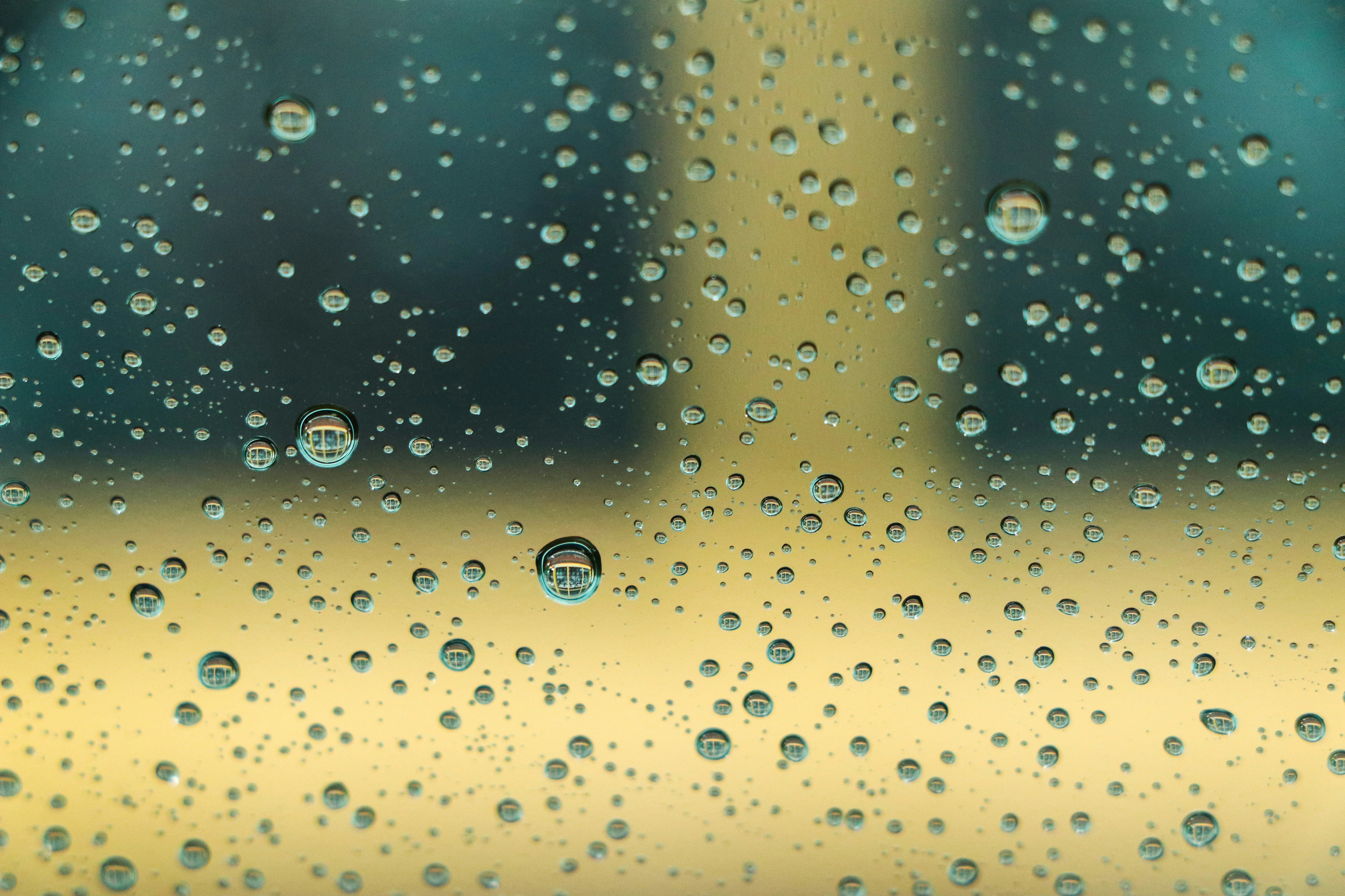 A close up of water droplets on a window photo – Free Droplet Image on ...