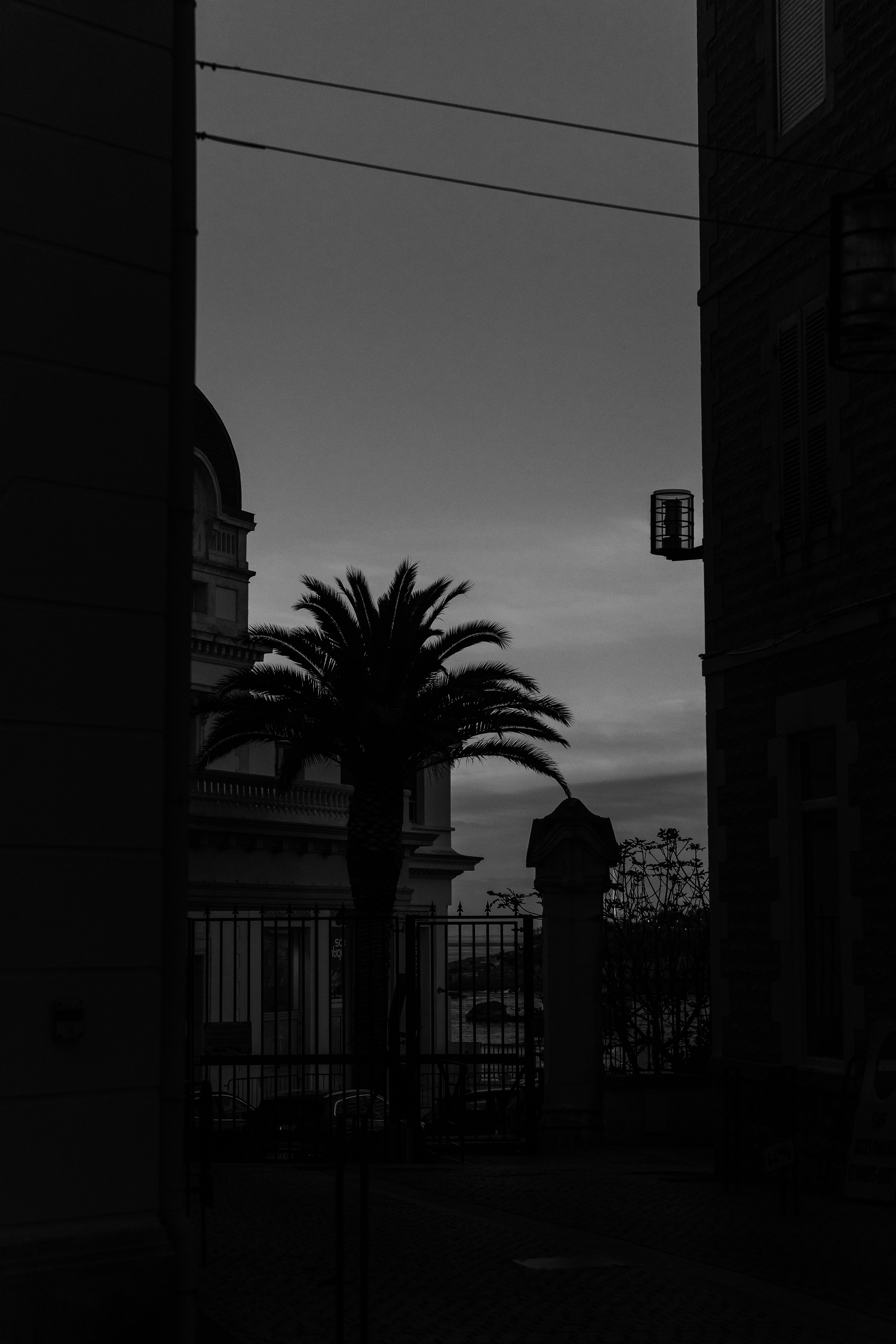 Silhouette of a palm tree against a dusky sky, framed by architectural elements in a narrow street. The scene evokes a tranquil evening atmosphere.