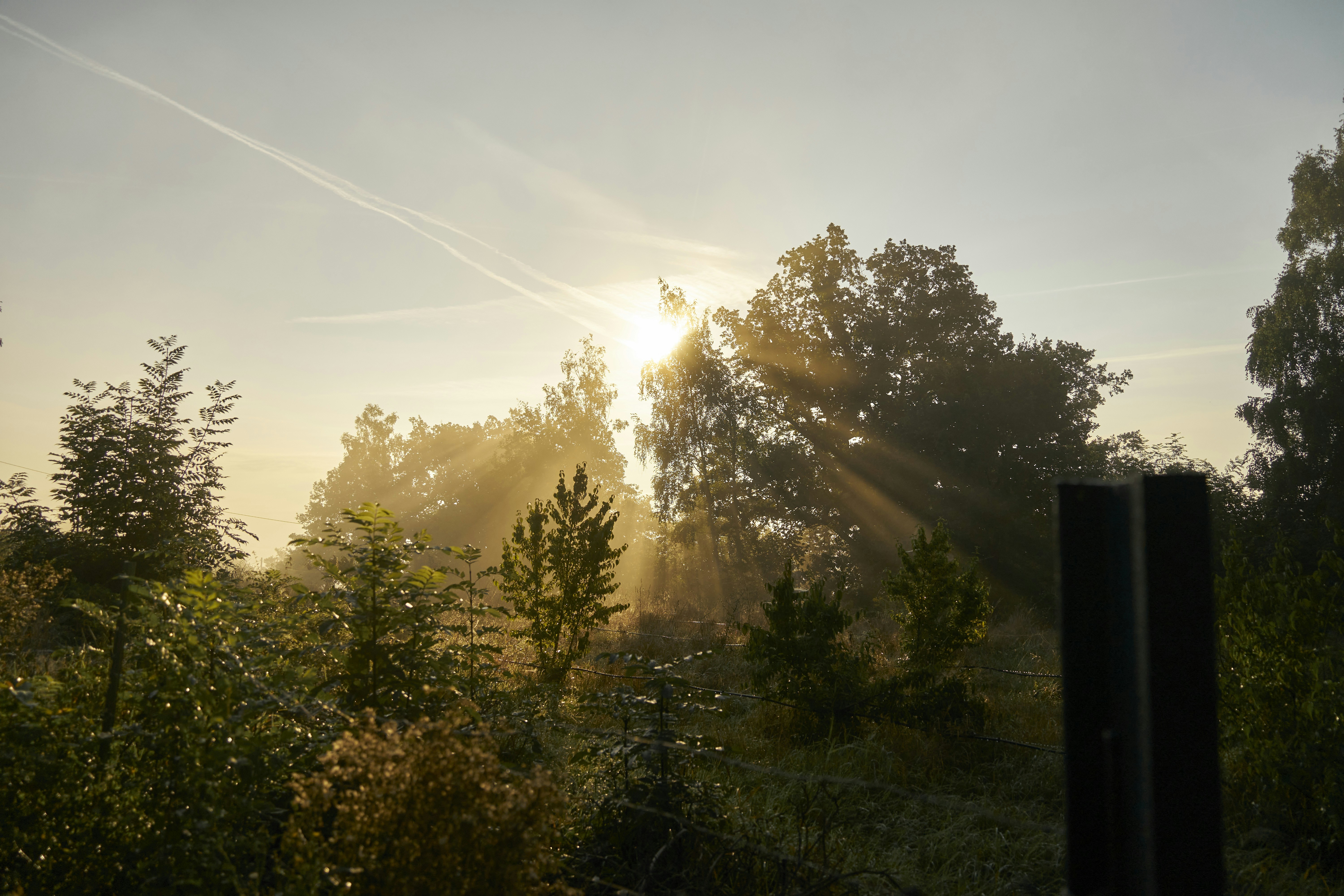 Thuringe Photos | Télécharger des images gratuites sur Unsplash