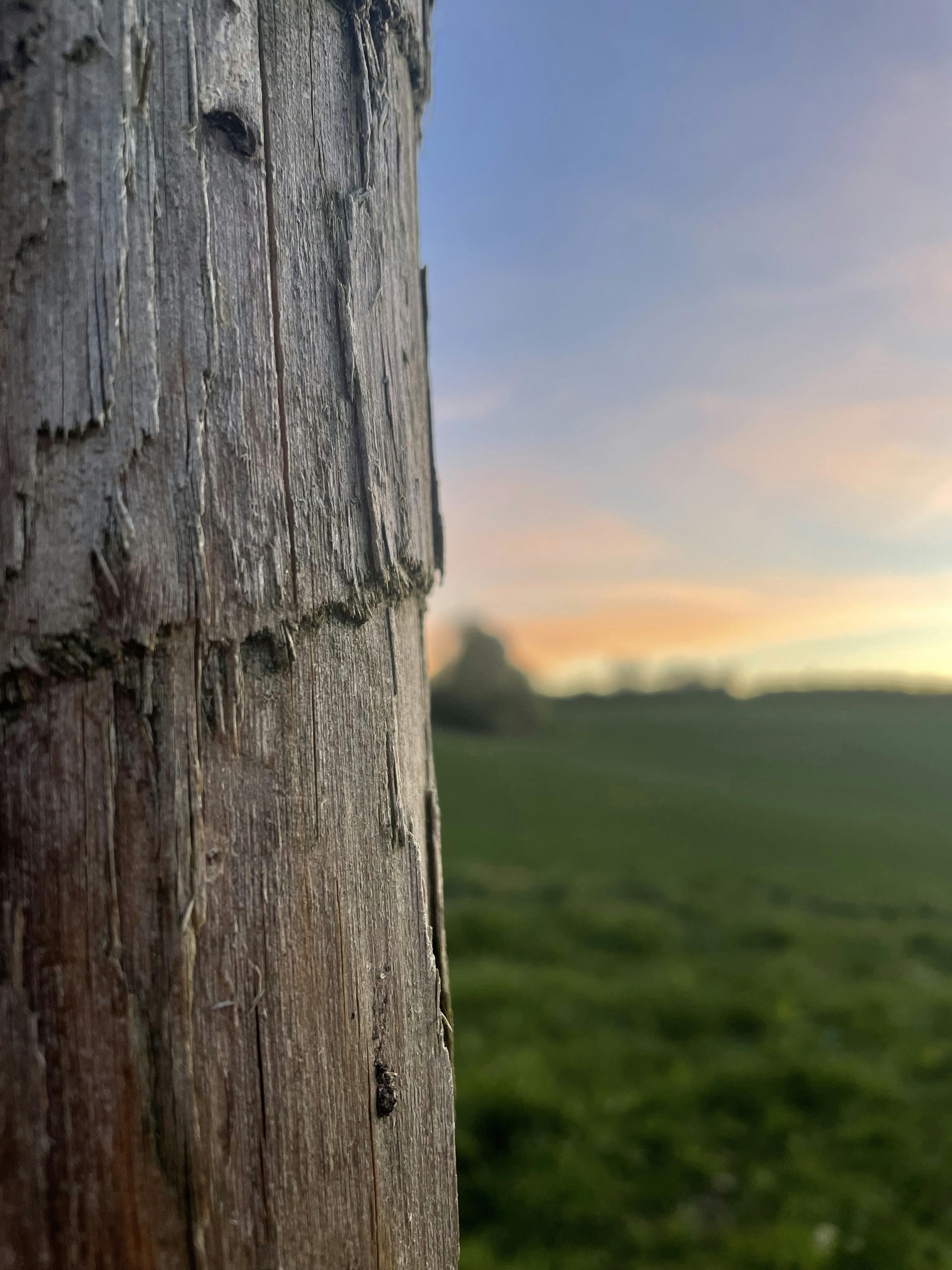 Dounya El Harrar (@eldounya) | Komunitas Foto Unsplash