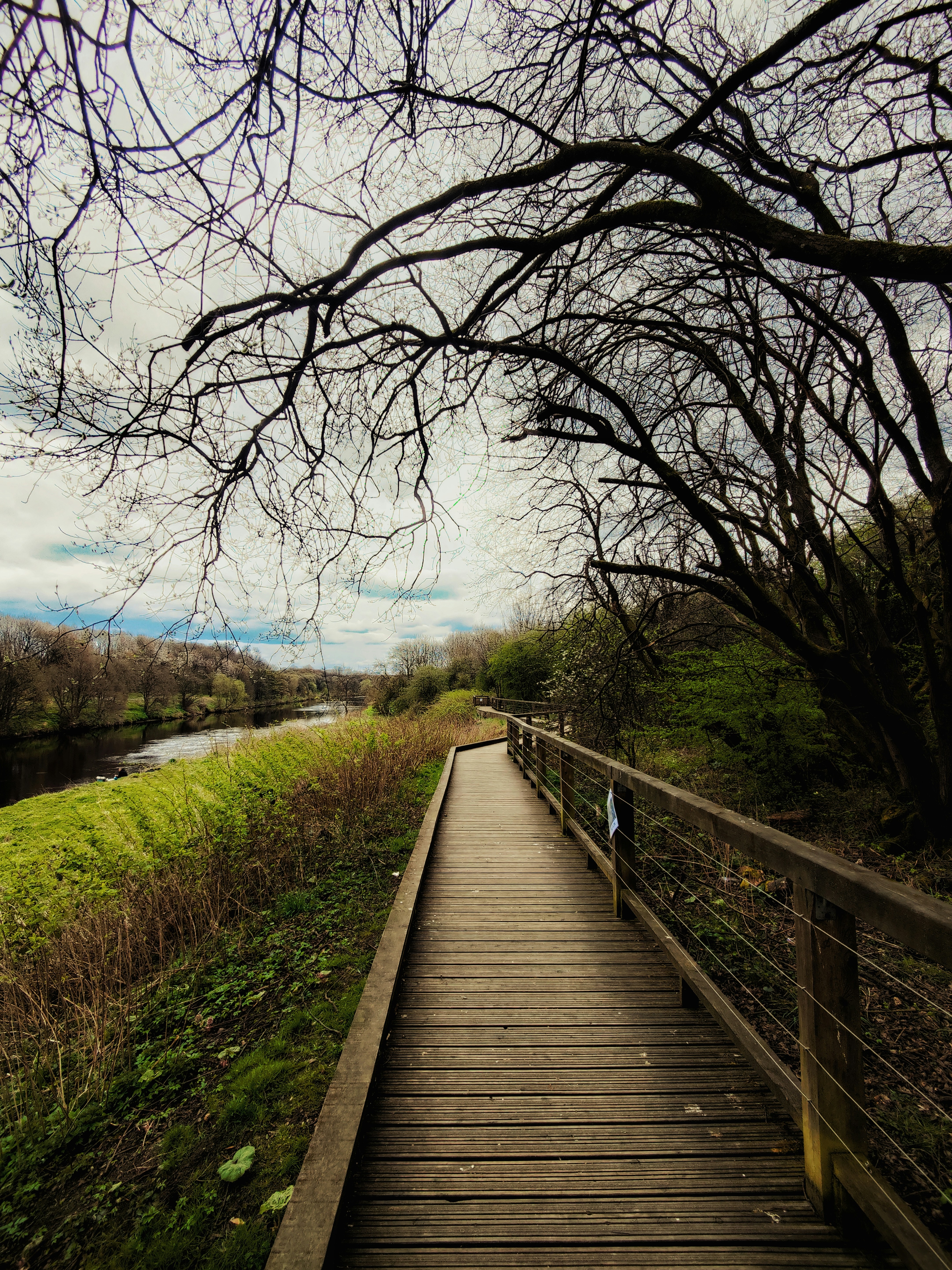 Wooden walkway bordered by lush greenery and bare trees, leading towards a tranquil river under a cloudy sky.