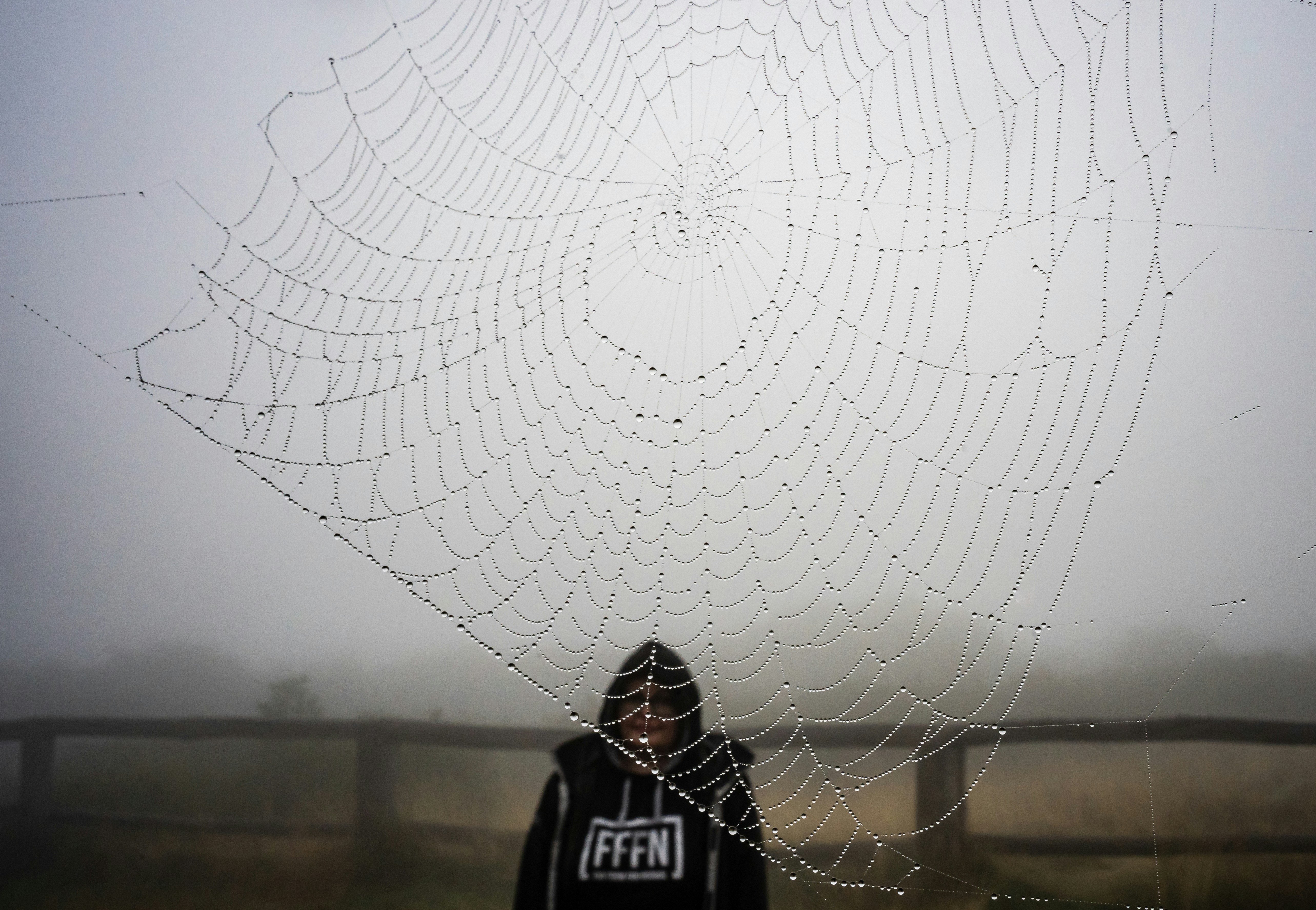 A person standing in front of a spider web photo – Free Grey Image on ...