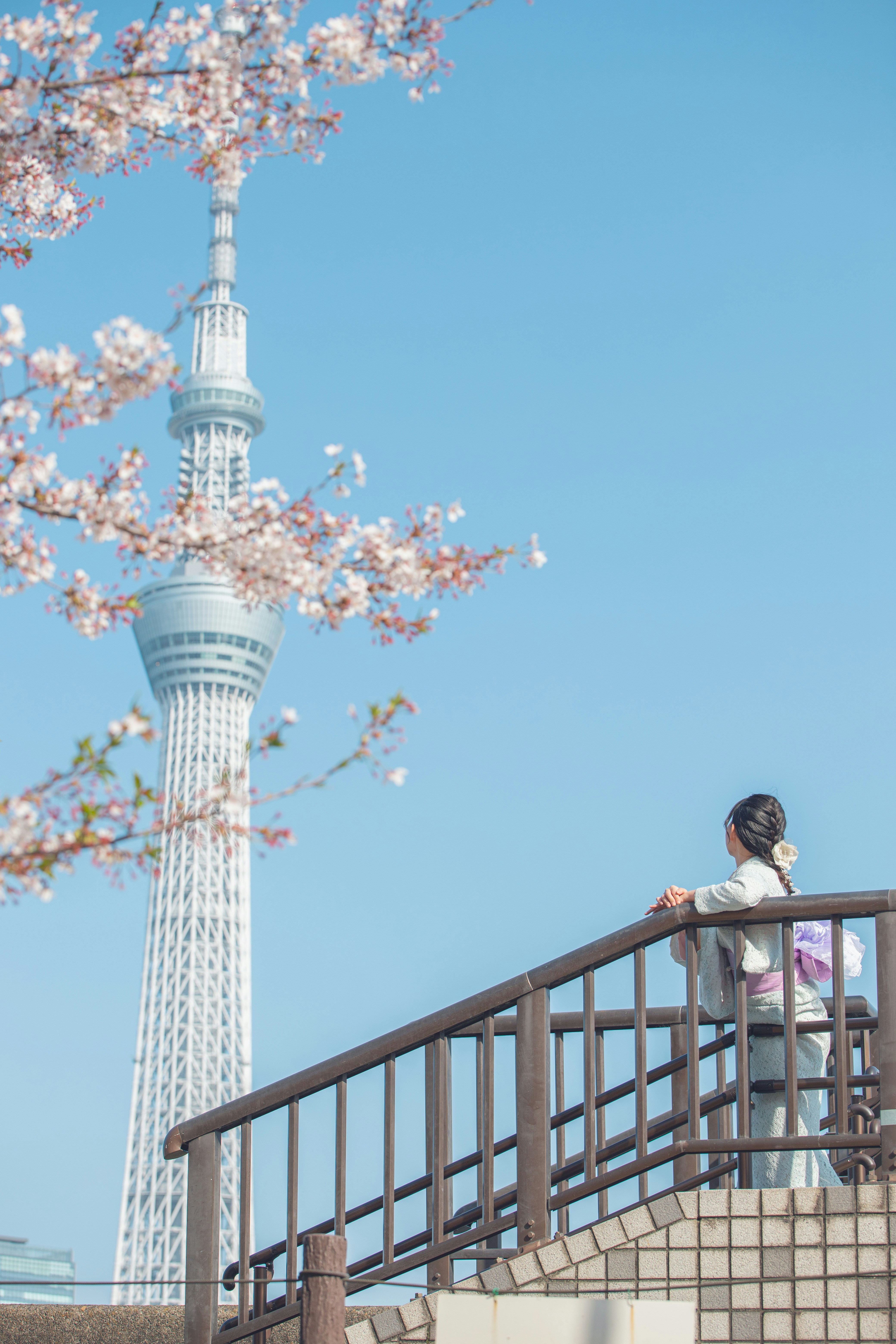 Bilder zum Thema Tokyo Skytree | Kostenlose Bilder auf Unsplash herunterladen