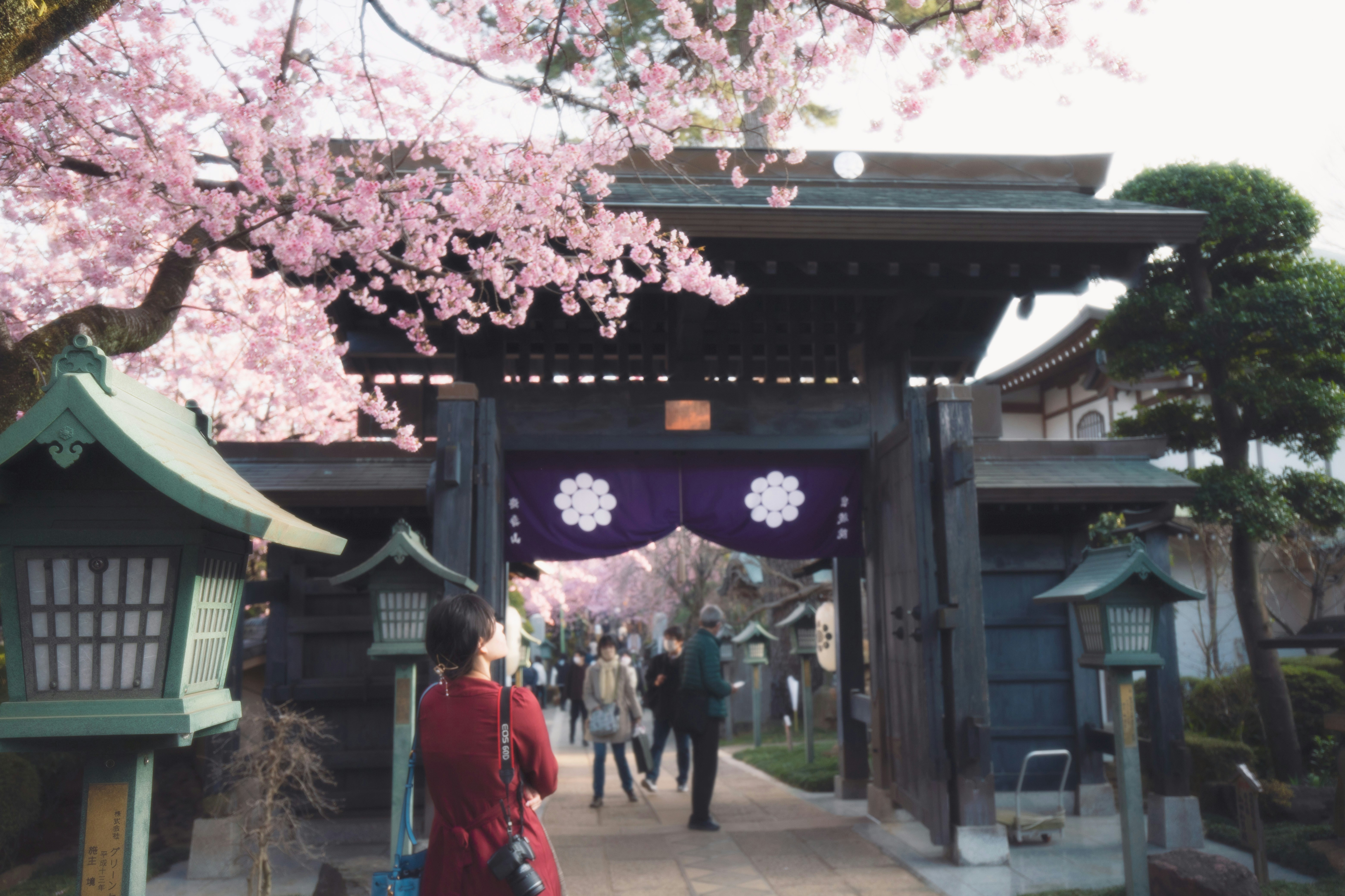 Une femme en robe rouge debout devant un immeuble photo – Photo Saitama ...