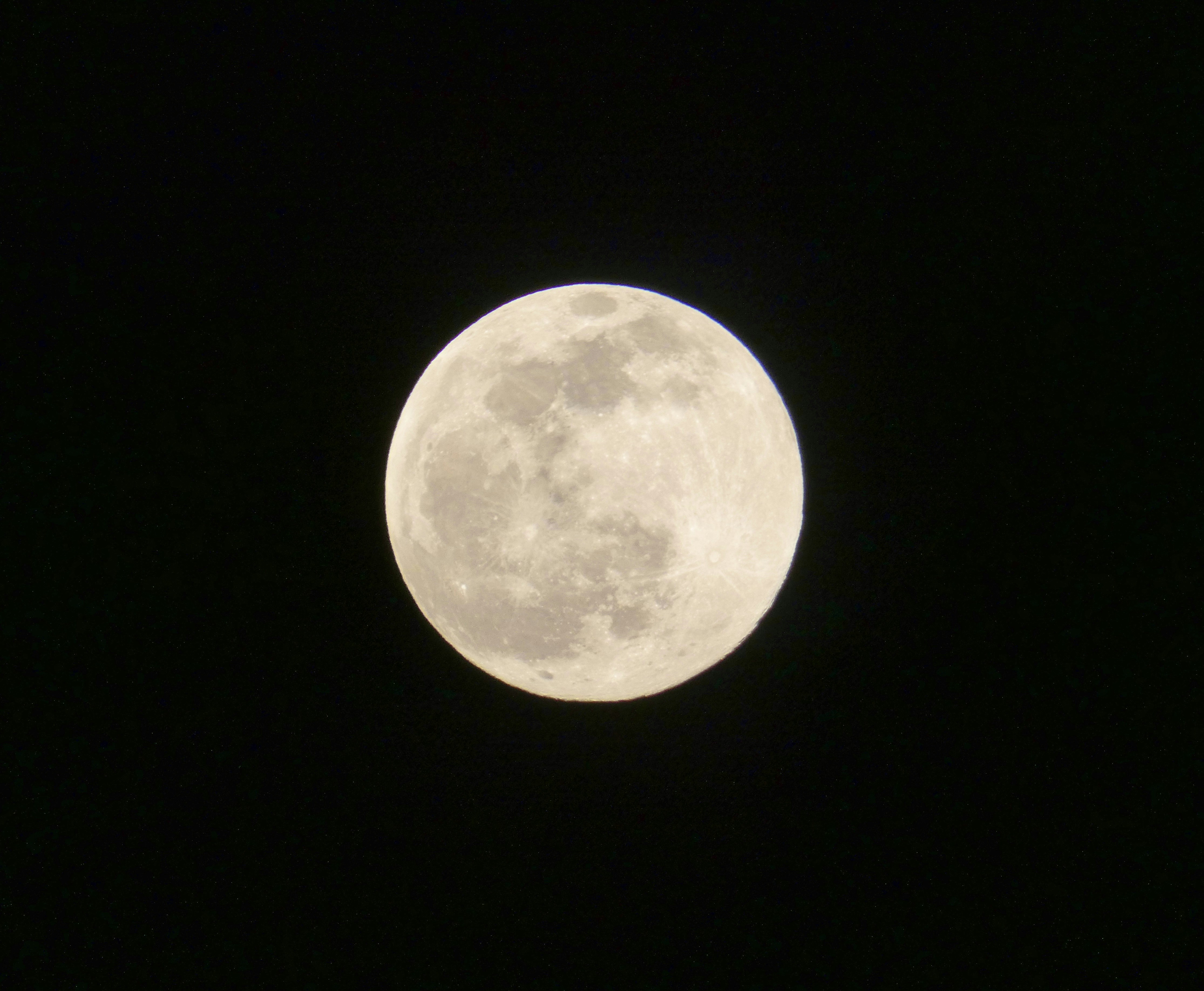 A full moon is seen in the dark sky photo – Free Brown Image on Unsplash