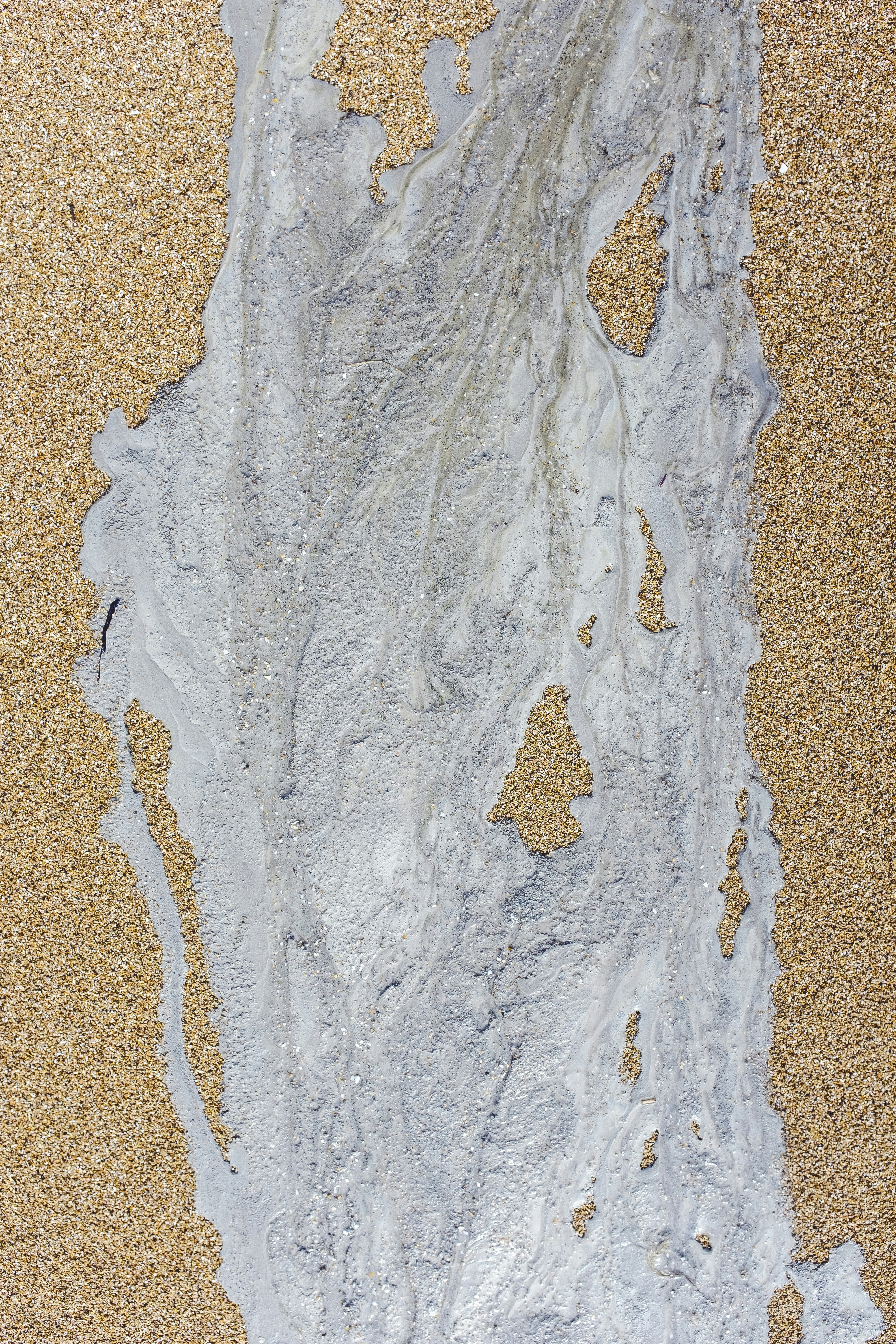 a bird flying over a sandy beach covered in sand