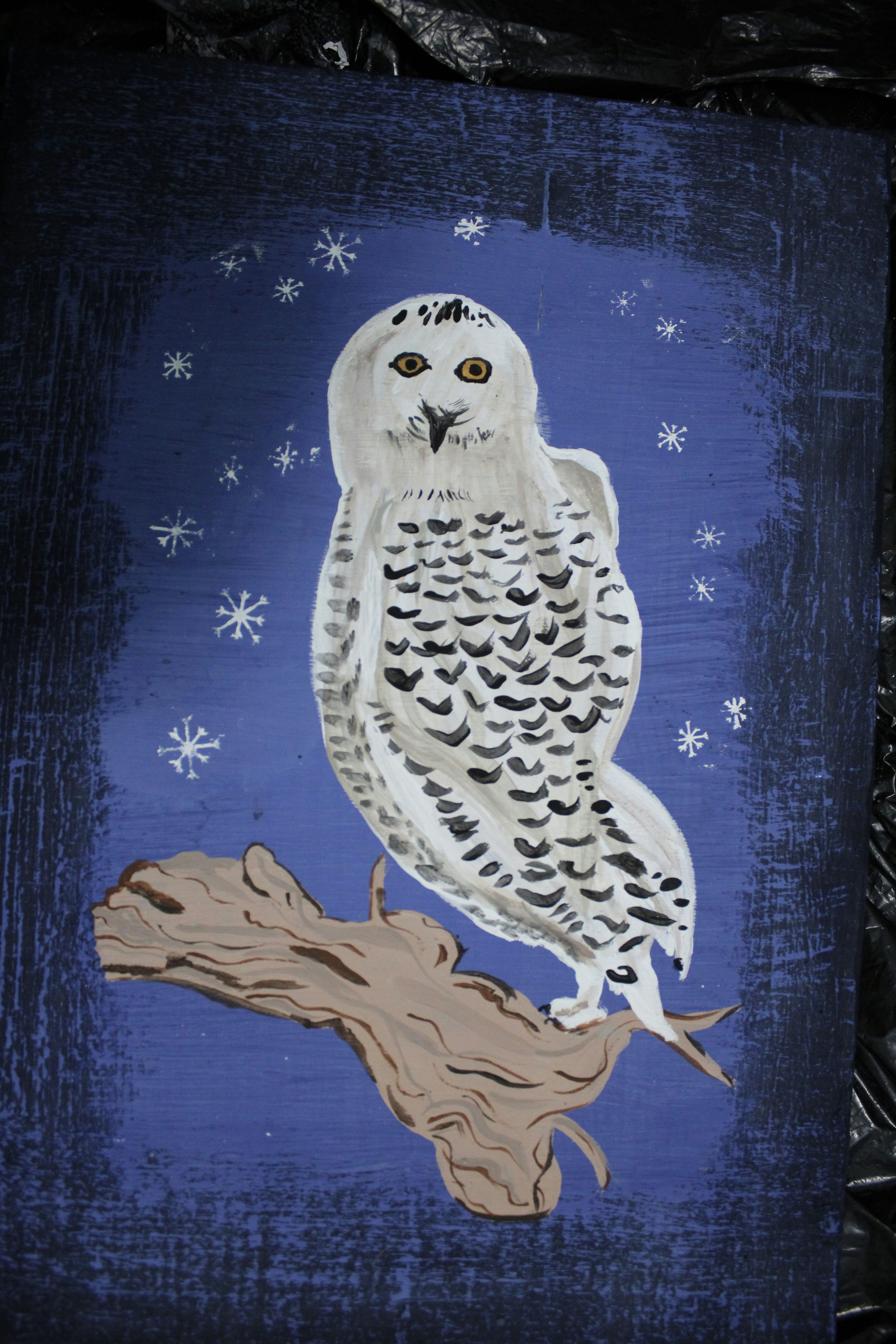 Snowy Watch: The Owl Portrait on a Midnight Blue Panel