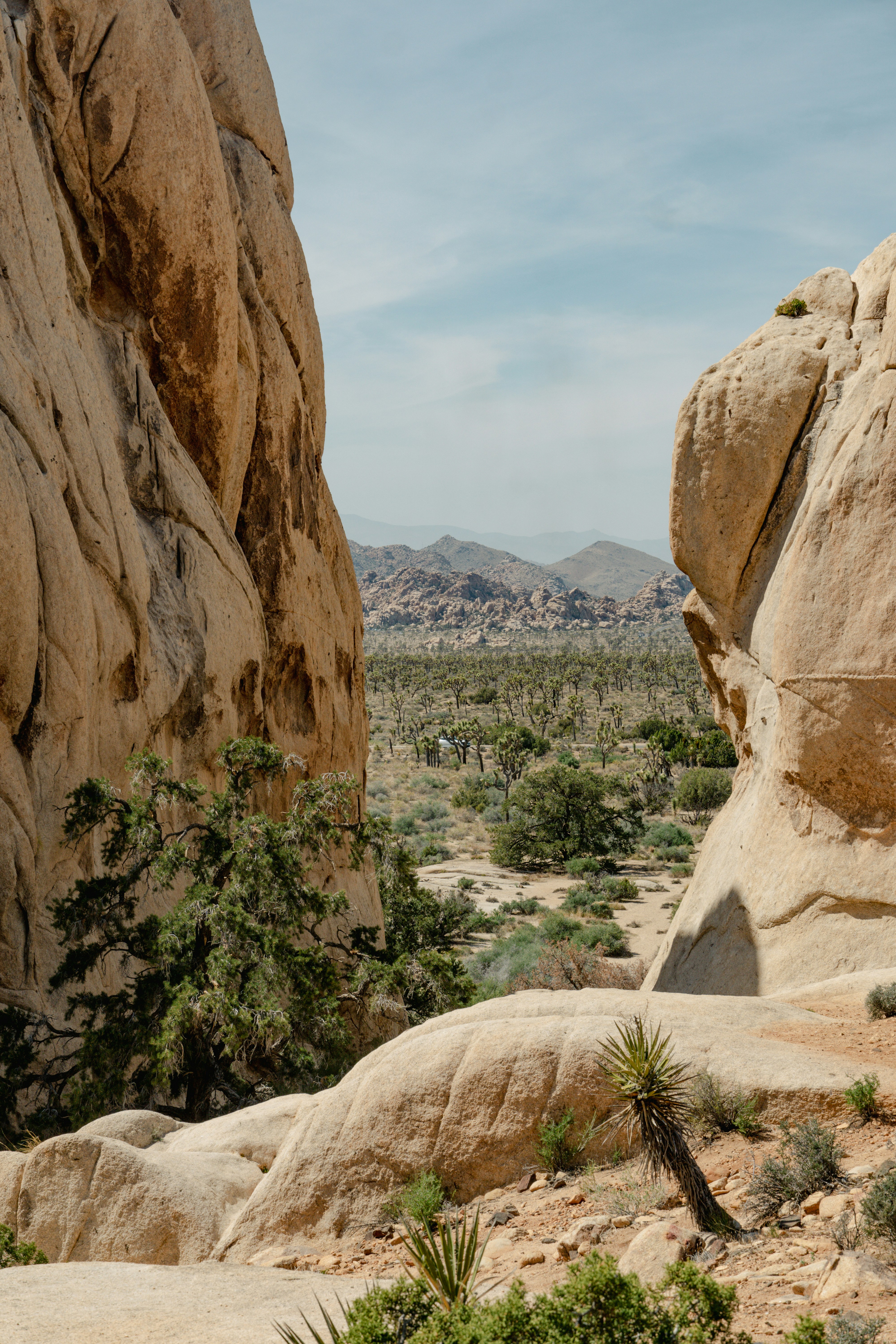 A view of a rocky outcropping in the desert photo – Free Sunny Image on ...
