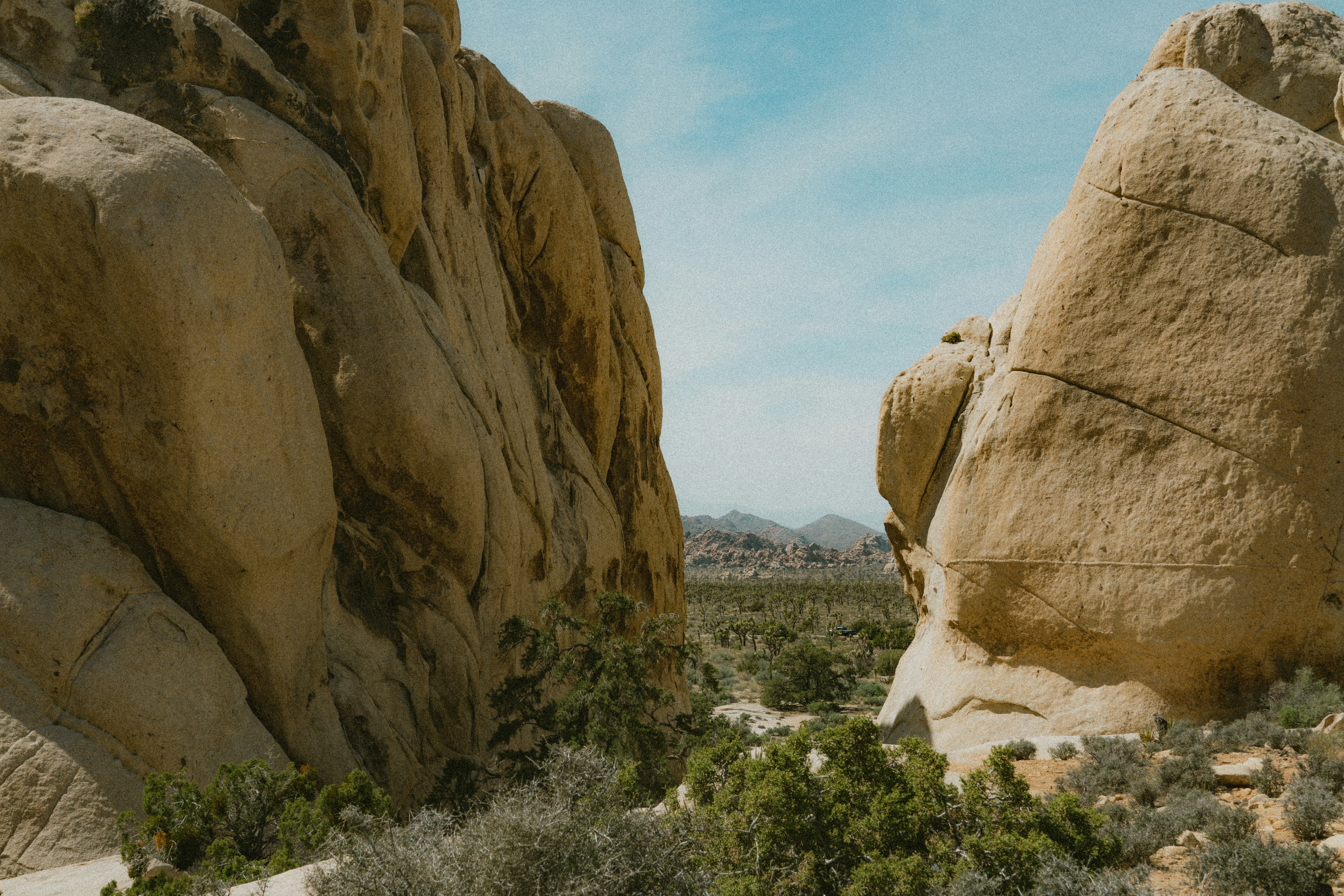 Between Granite Giants: Desert Canyon Gate