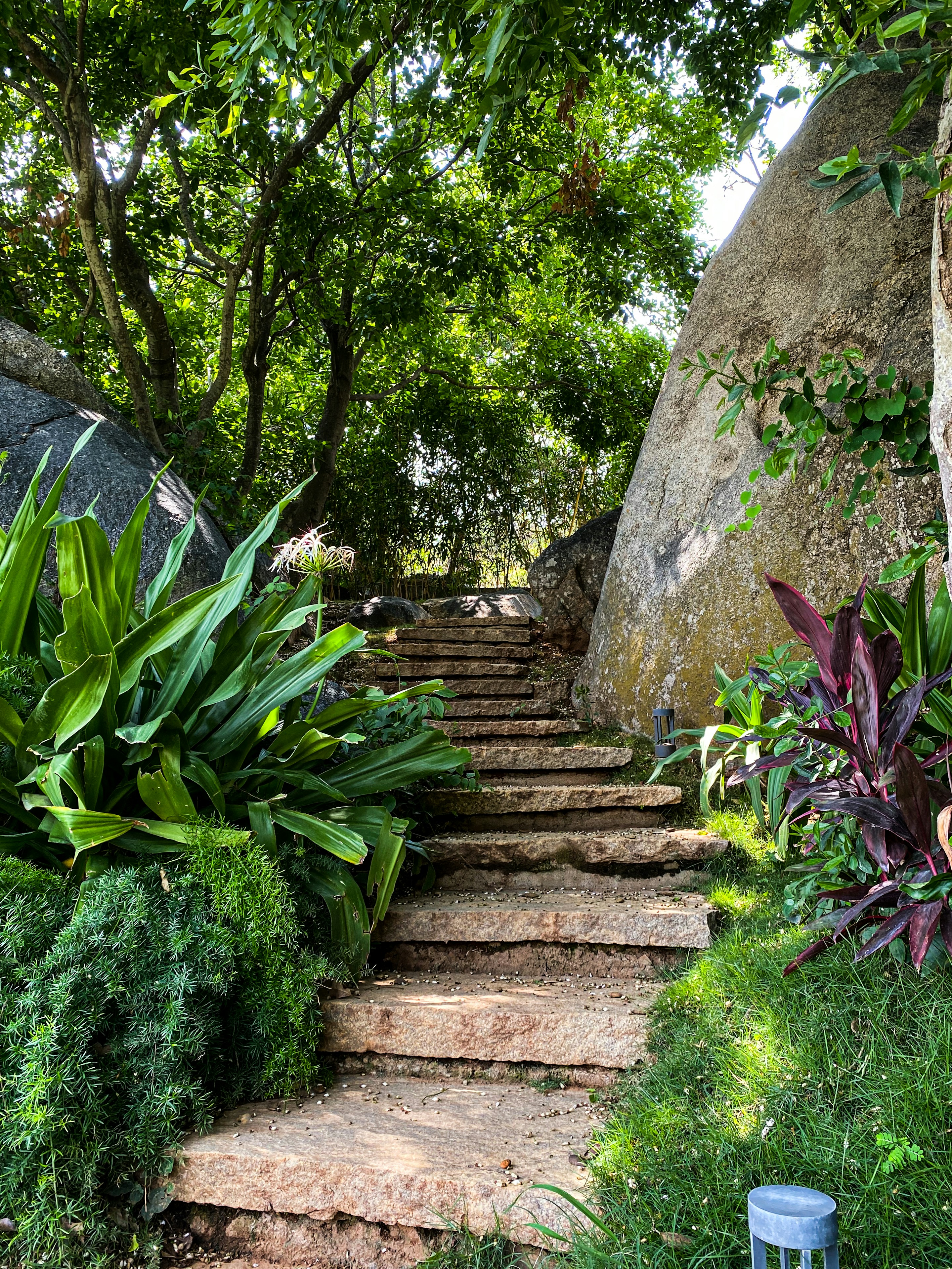 A bunch of steps that are next to some trees photo – Free Render Image ...