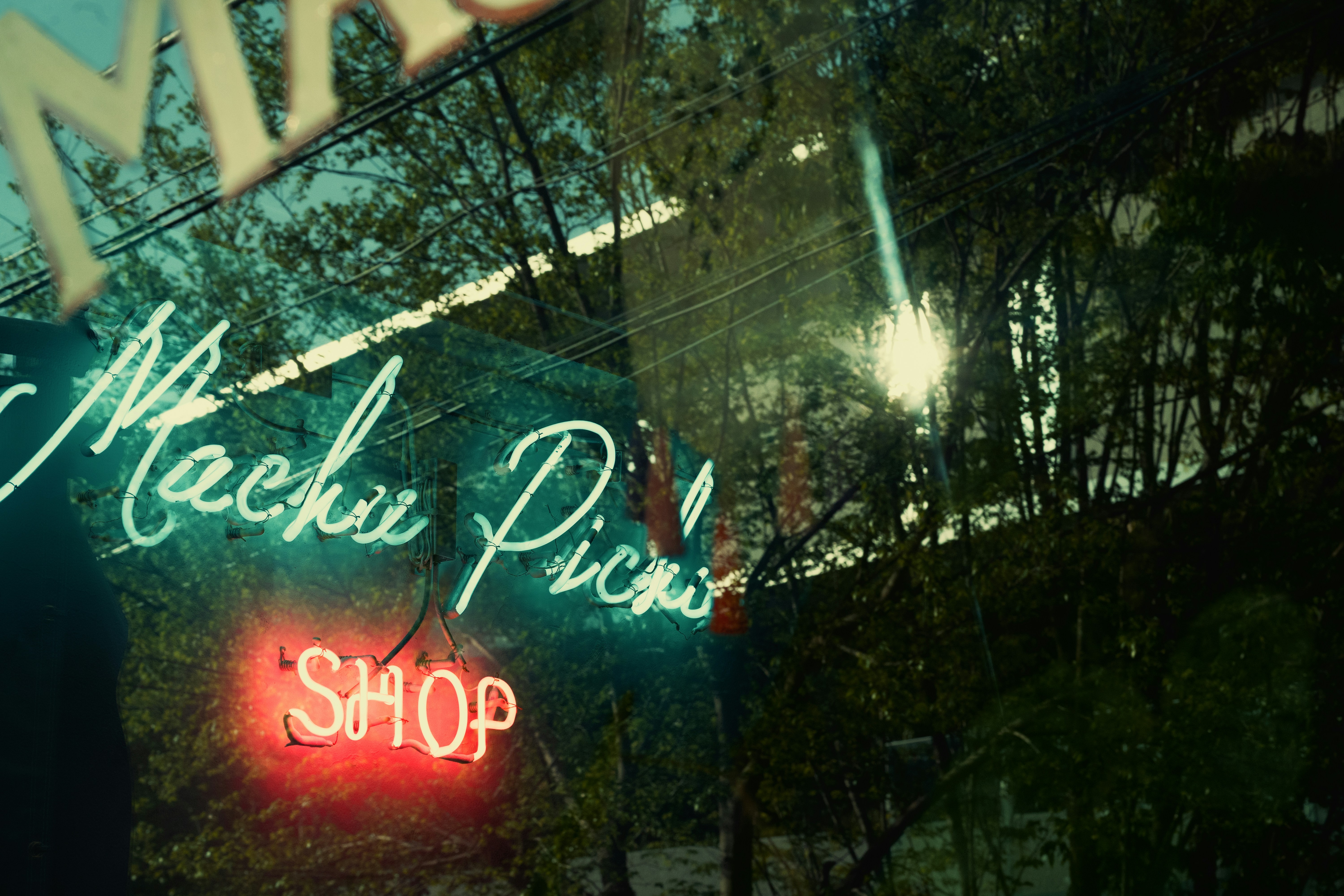 Neon Shopfront Reflections: A Quiet Urban Glow