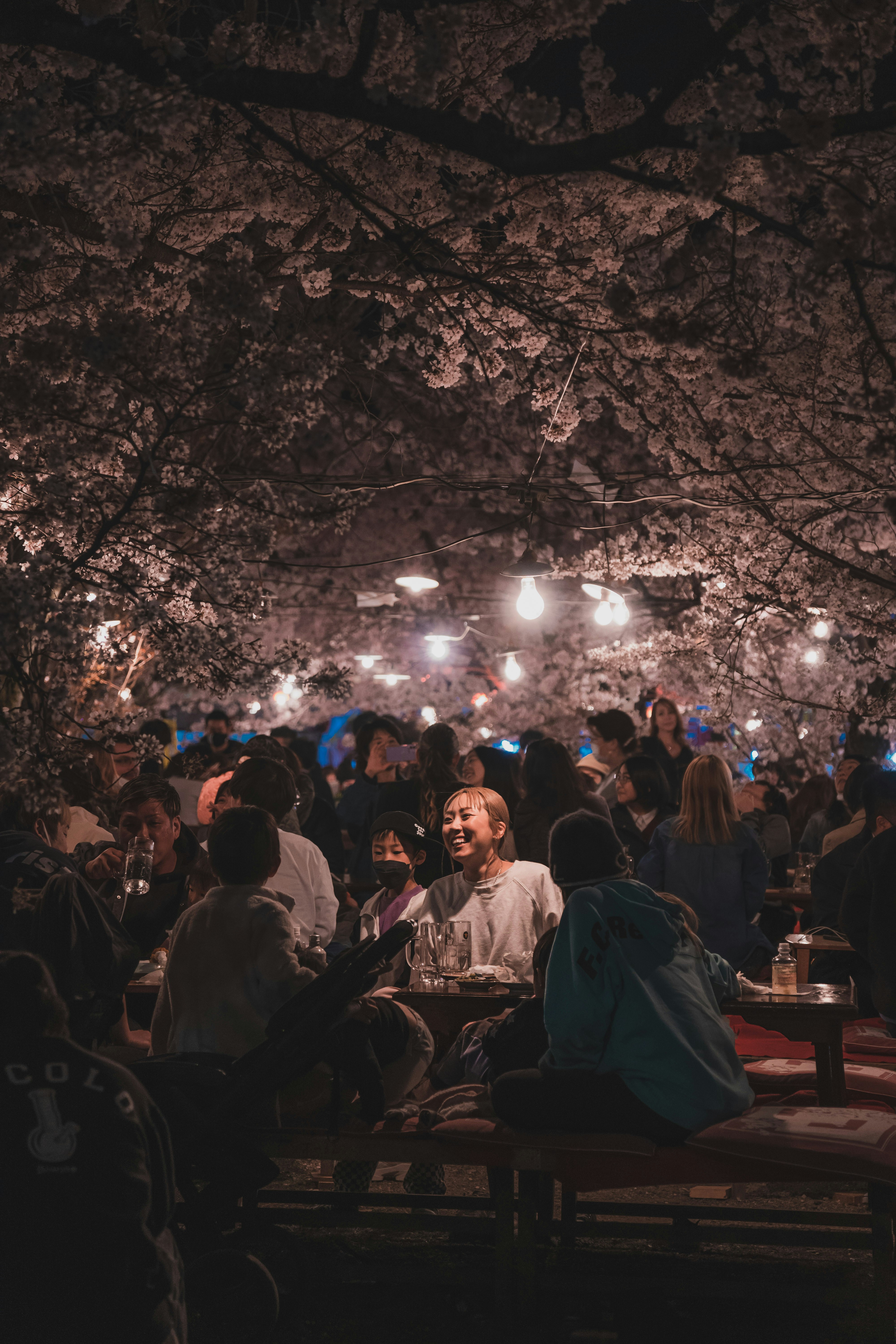Midnight Sakura Feast: A Laughing Moment Among Lantern-lit Benches