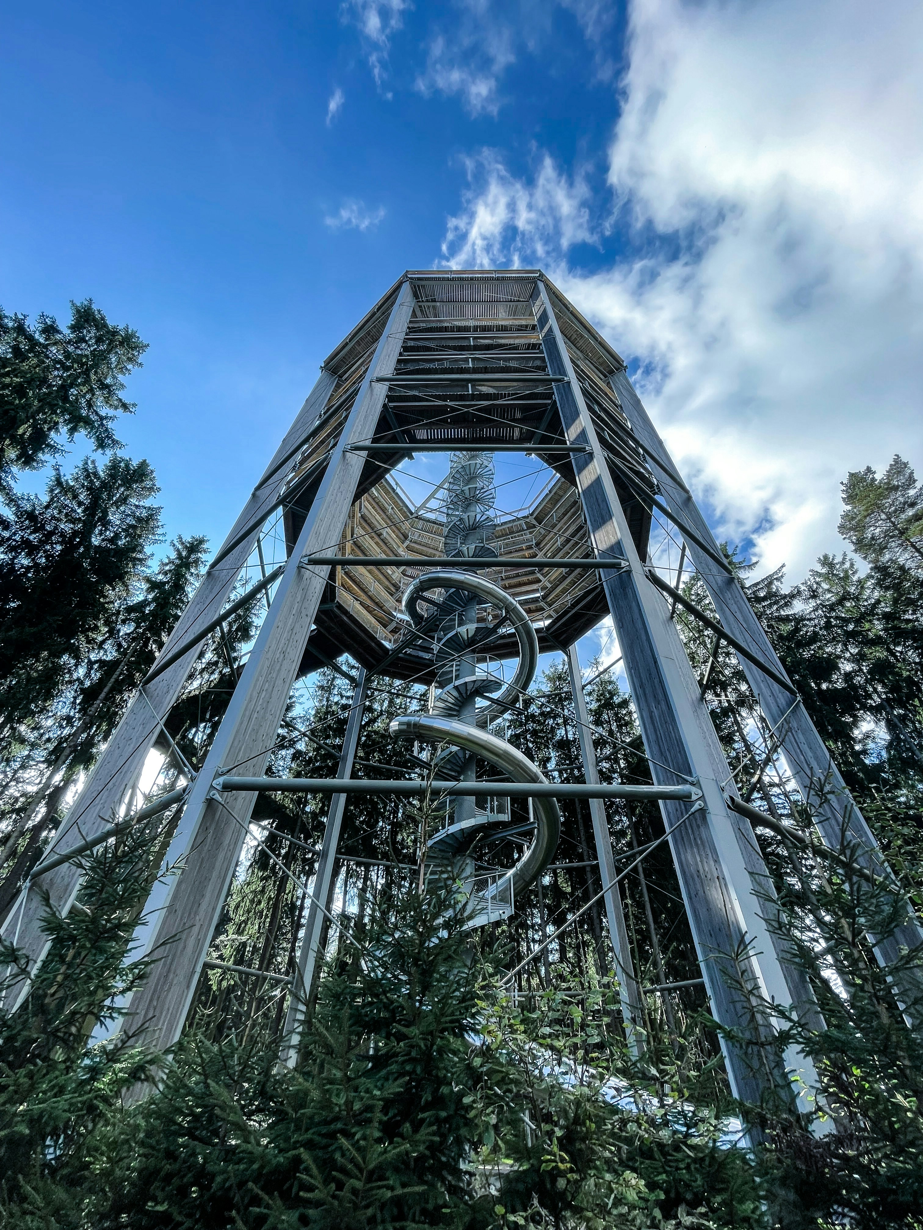 Spiral Tower Ascending: A Steel Frame Piercing the Pine Canopy