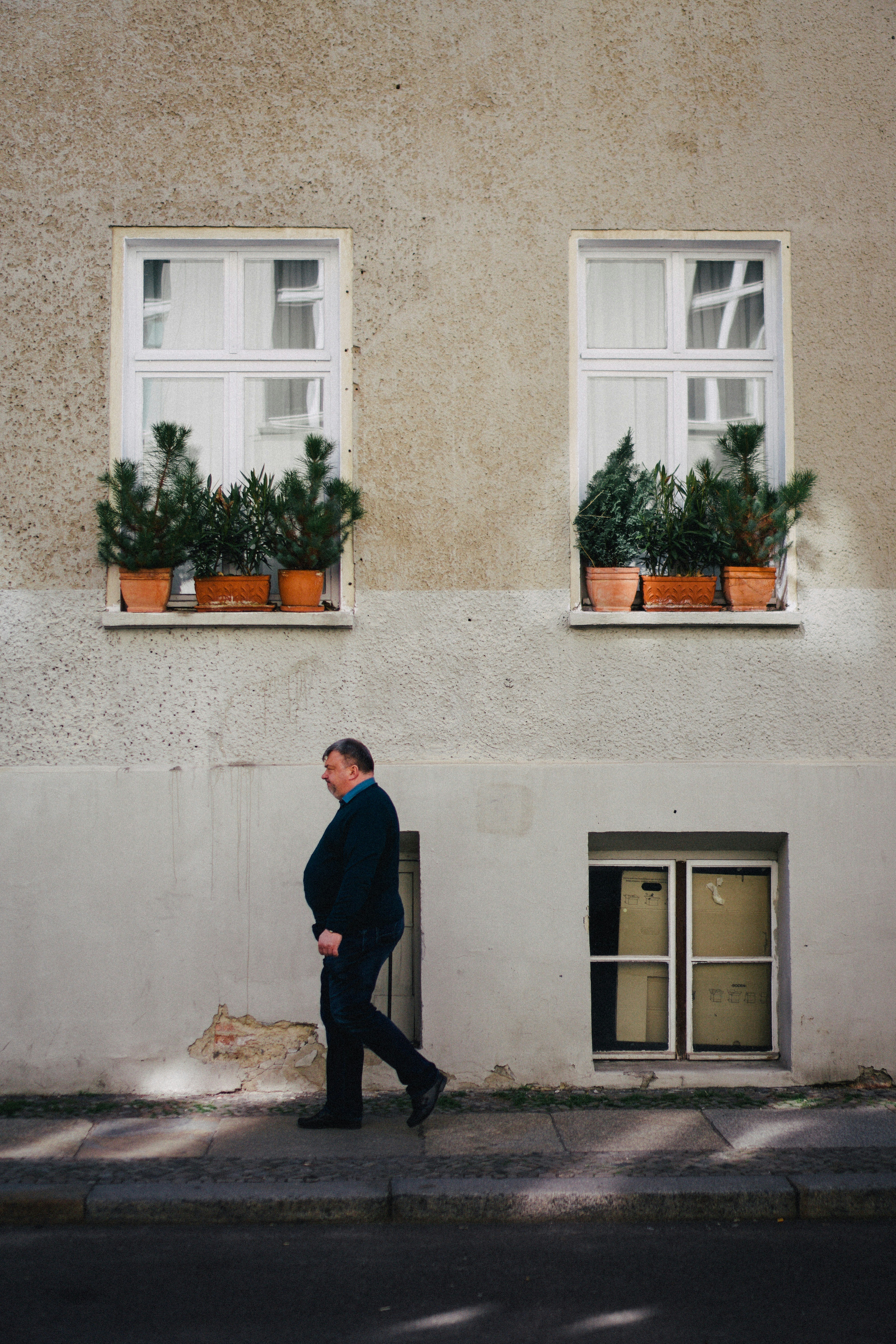 A man walks past a beige wall adorned with two window boxes filled with greenery. The scene captures a moment of quiet urban life.