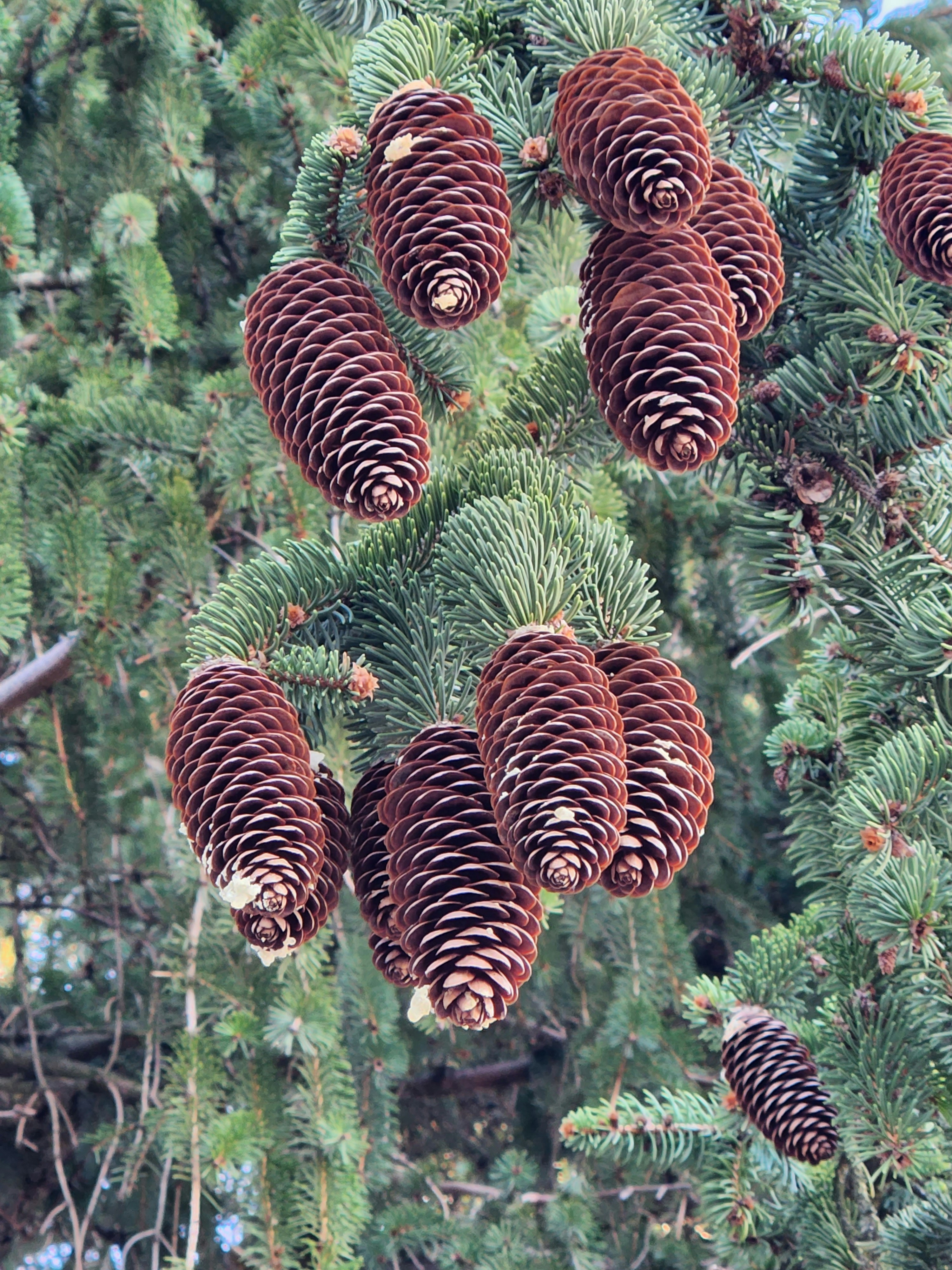 Photo by POLO Jonkh with Samsung Galaxy S22