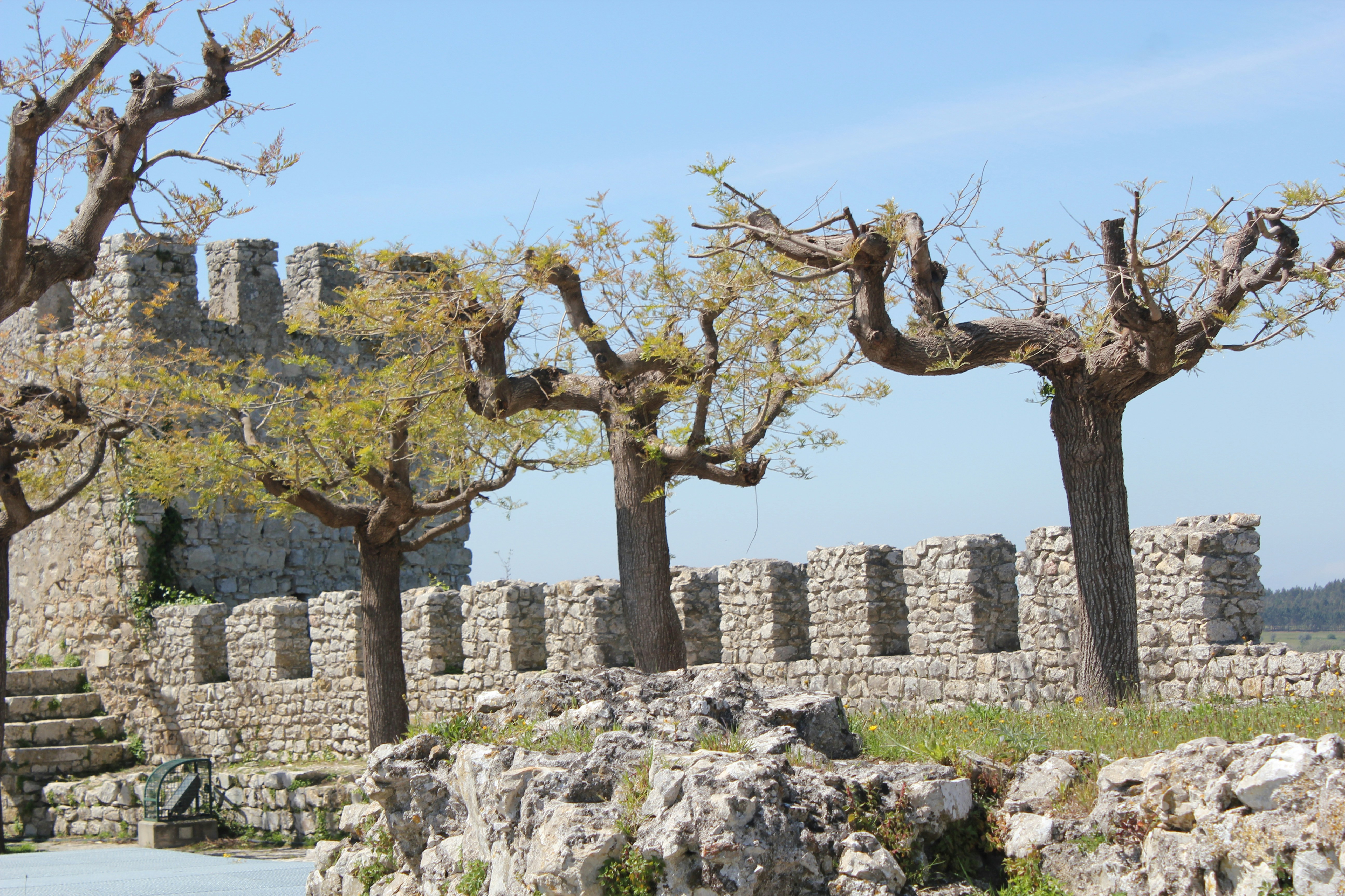 Un mur de pierre et des arbres devant un château photo – Photo Le ...