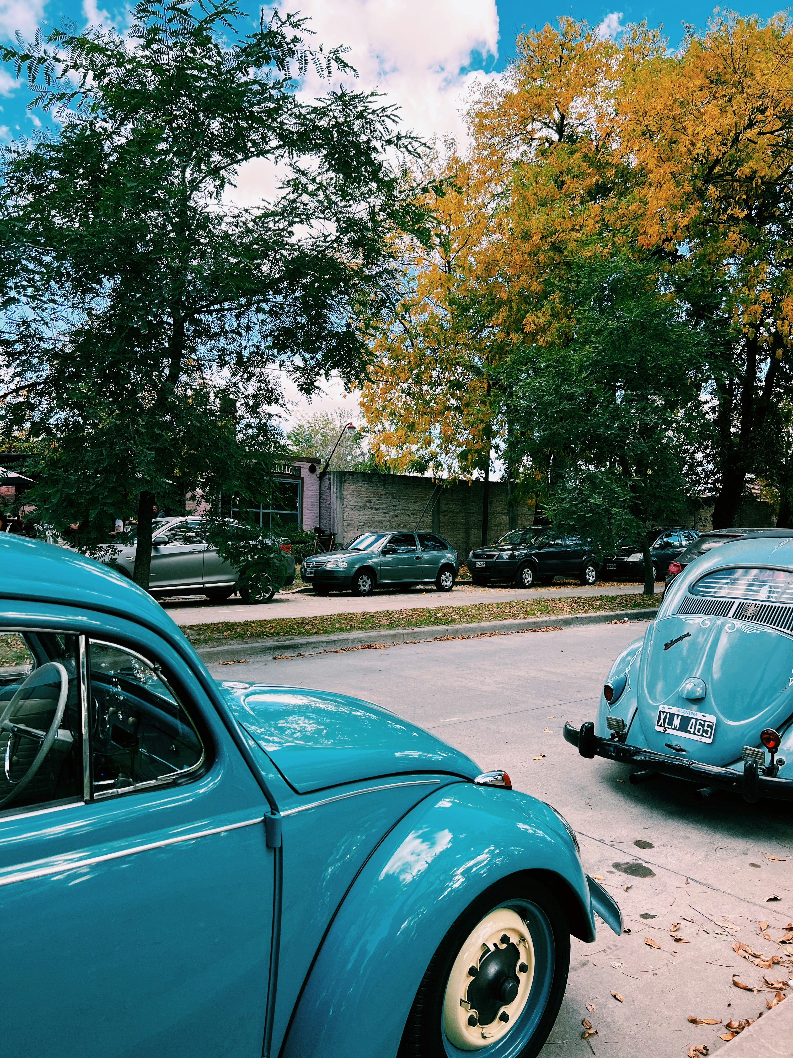 A blue vw bug parked next to another blue vw bug photo – Free # ...