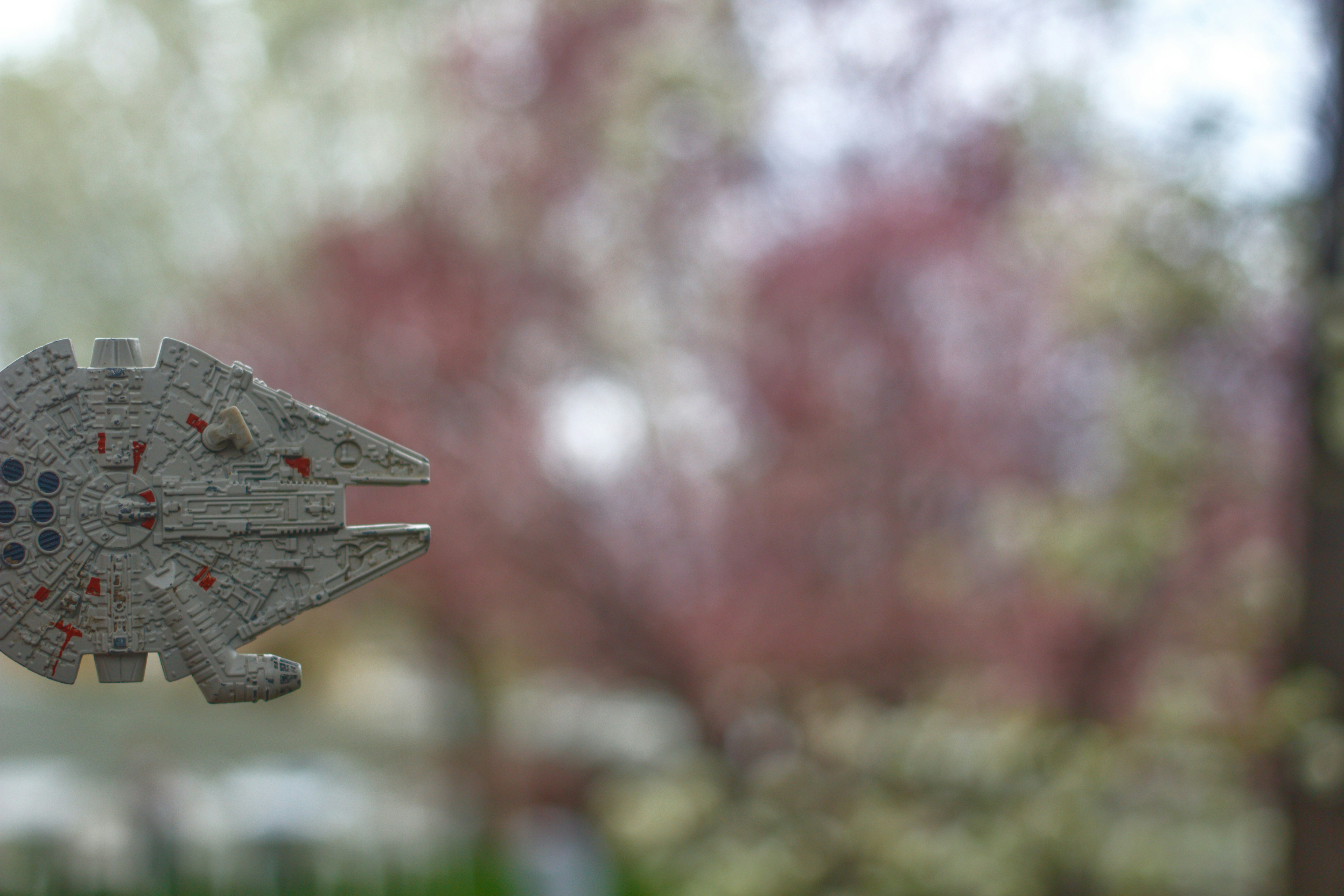 Miniature Starfighter at the Edge of a Blooming Garden