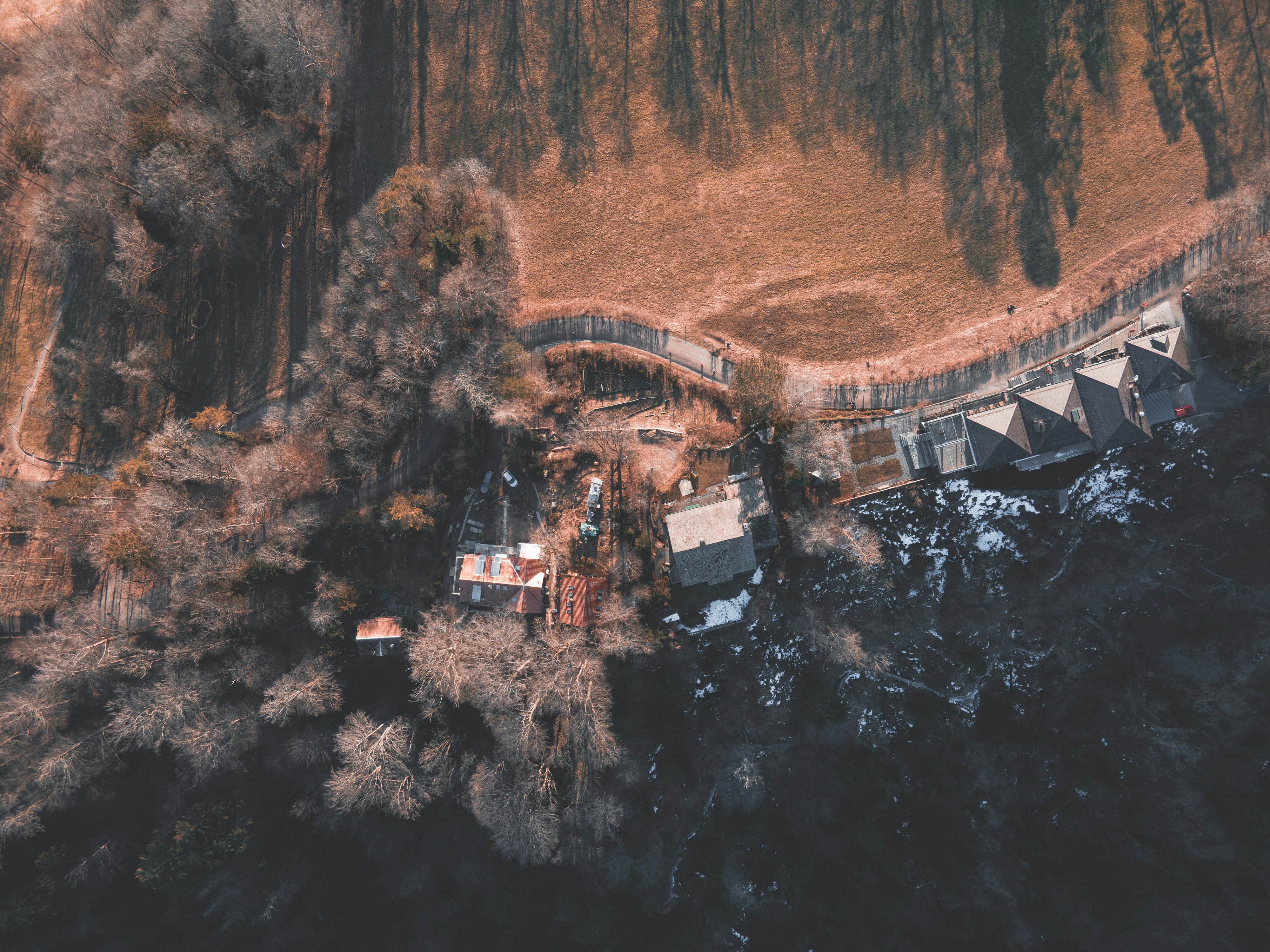 The Crescent Walkway: A Quiet Lakeside Village Framed by Pines