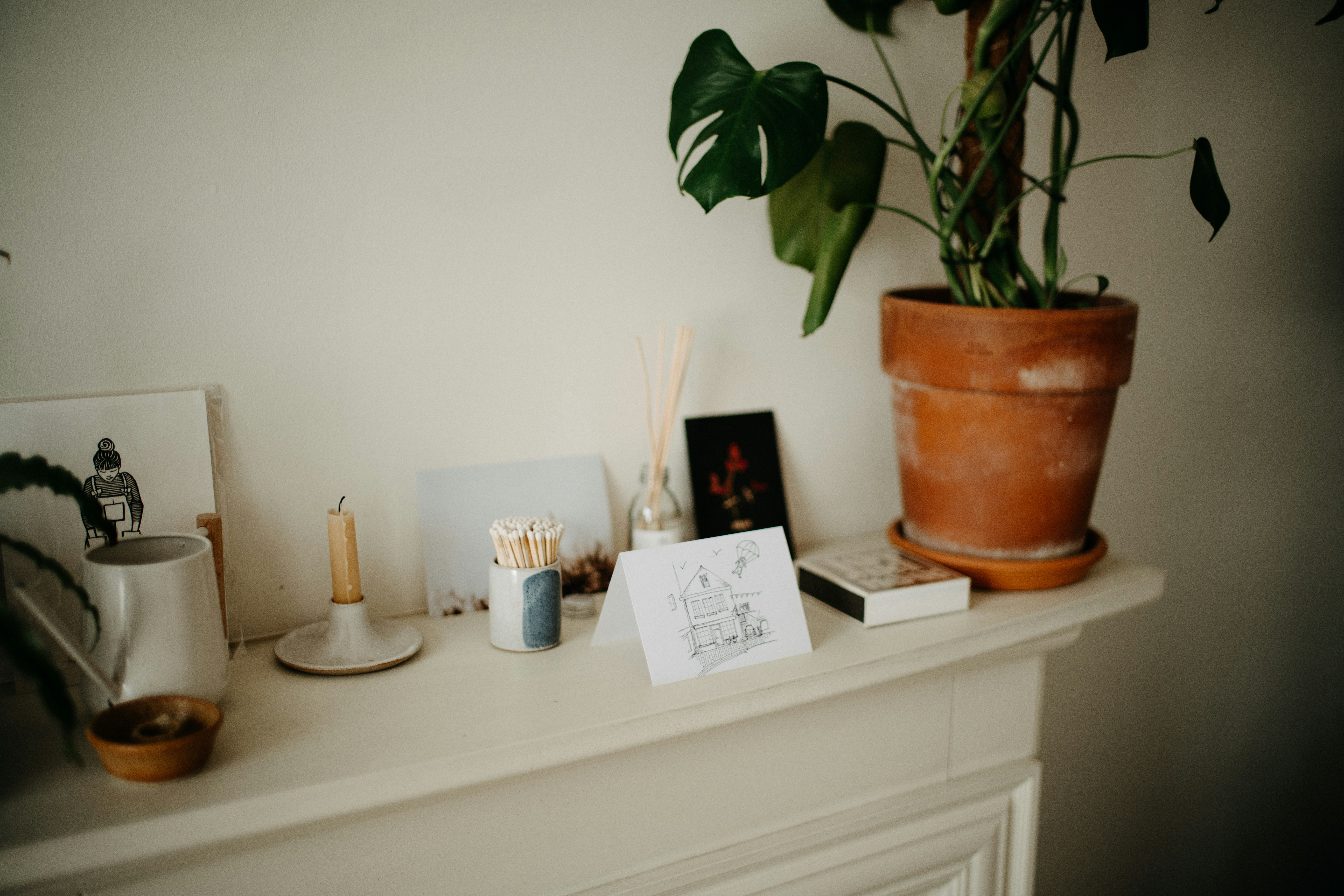 Une plante en pot assise sur un manteau blanc photo – Photo À l ...