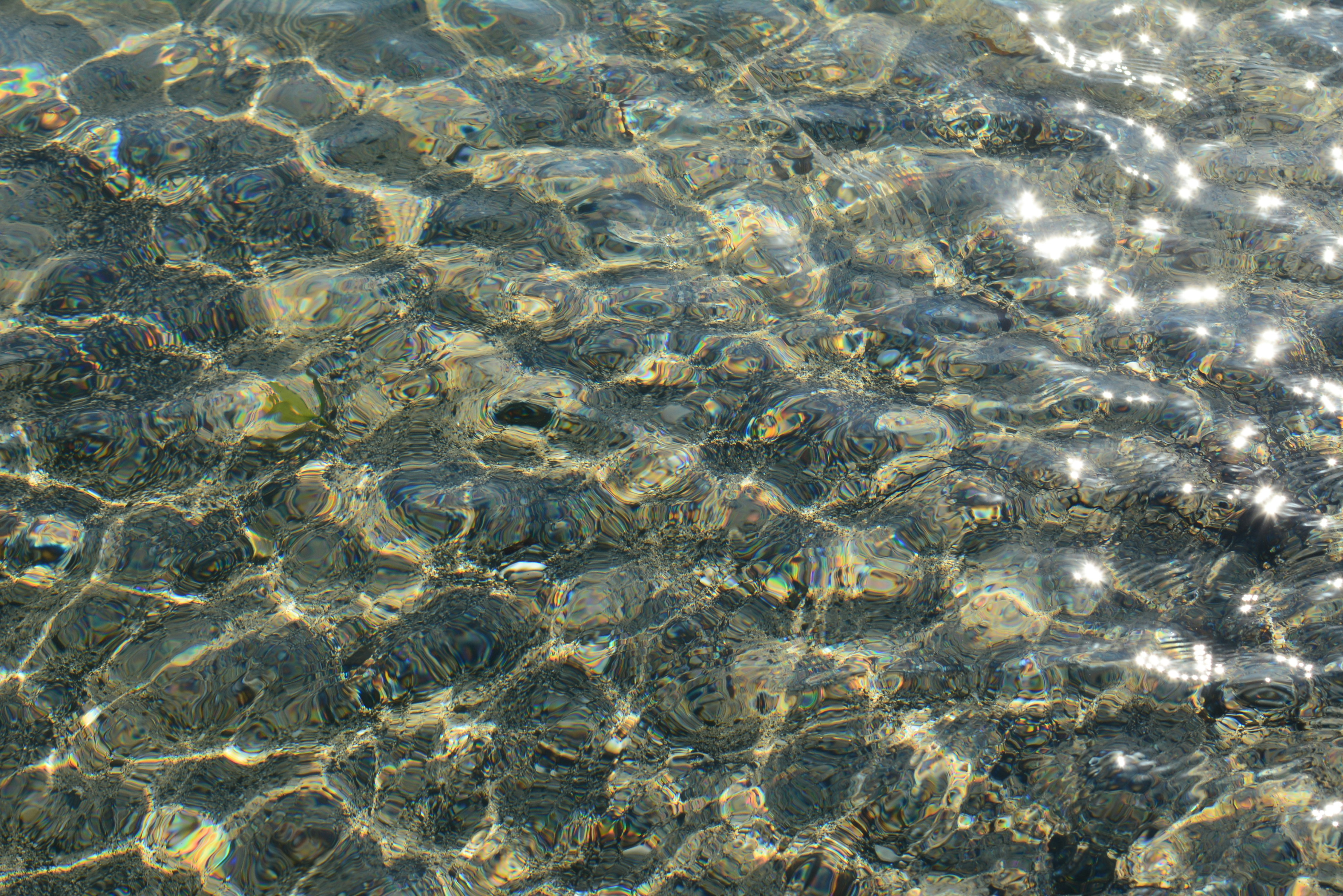 L’eau est limpide et limpide photo – Photo Flinders vittima Gratuite ...
