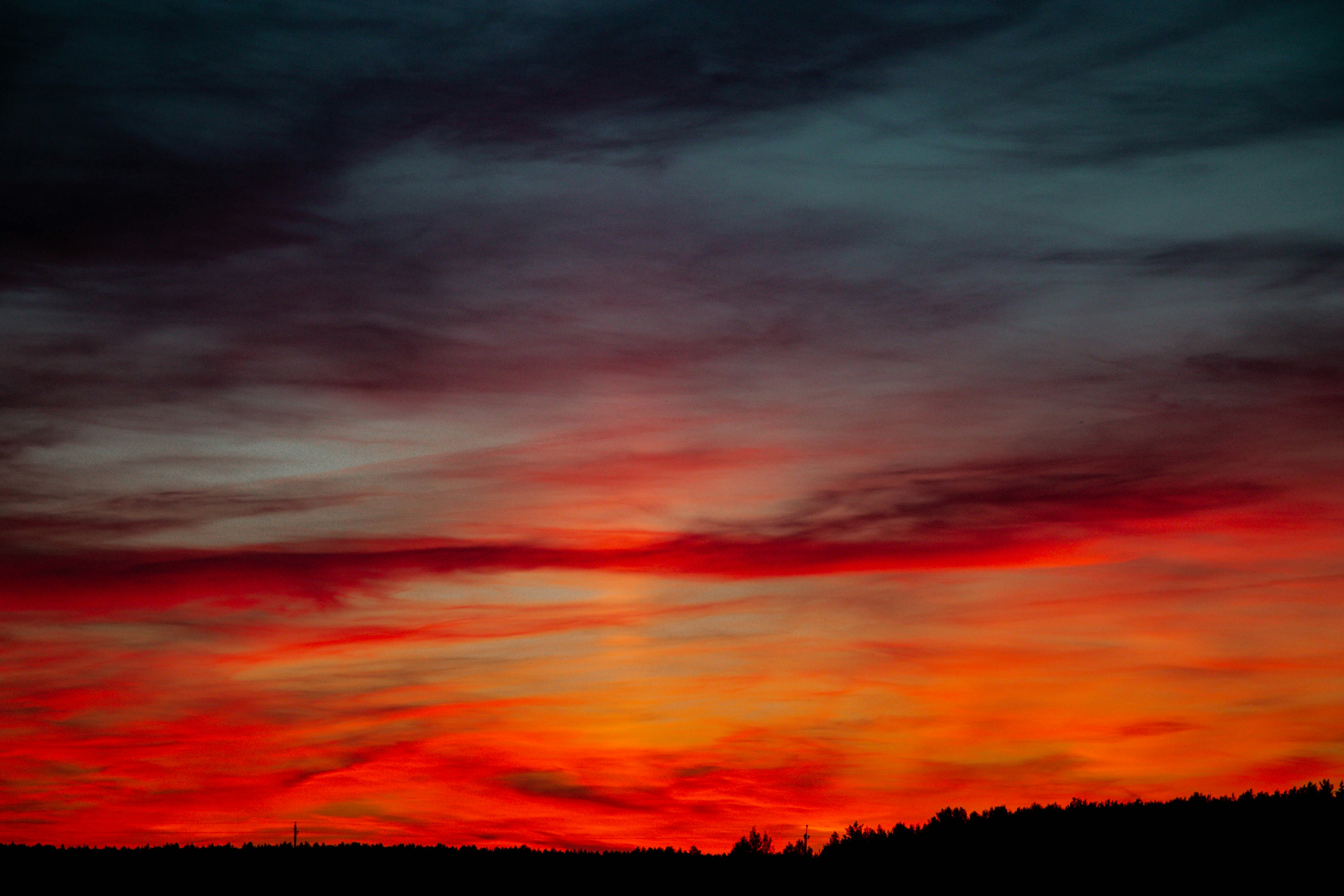Foto Langit merah dan biru dengan awan dan pepohonan – Gambar Matahari ...