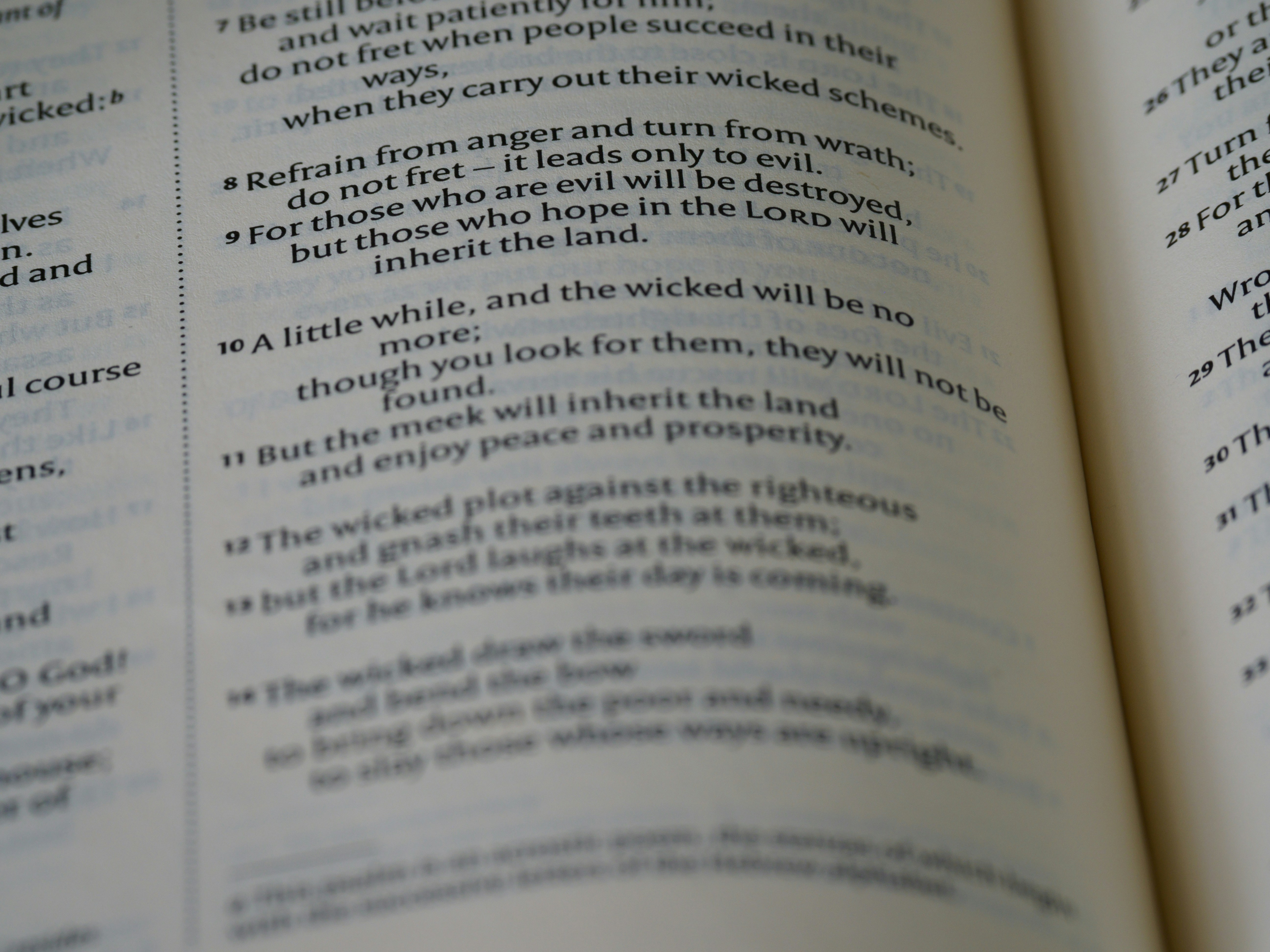 A close up of an open book with text photo – Free Text Image on Unsplash