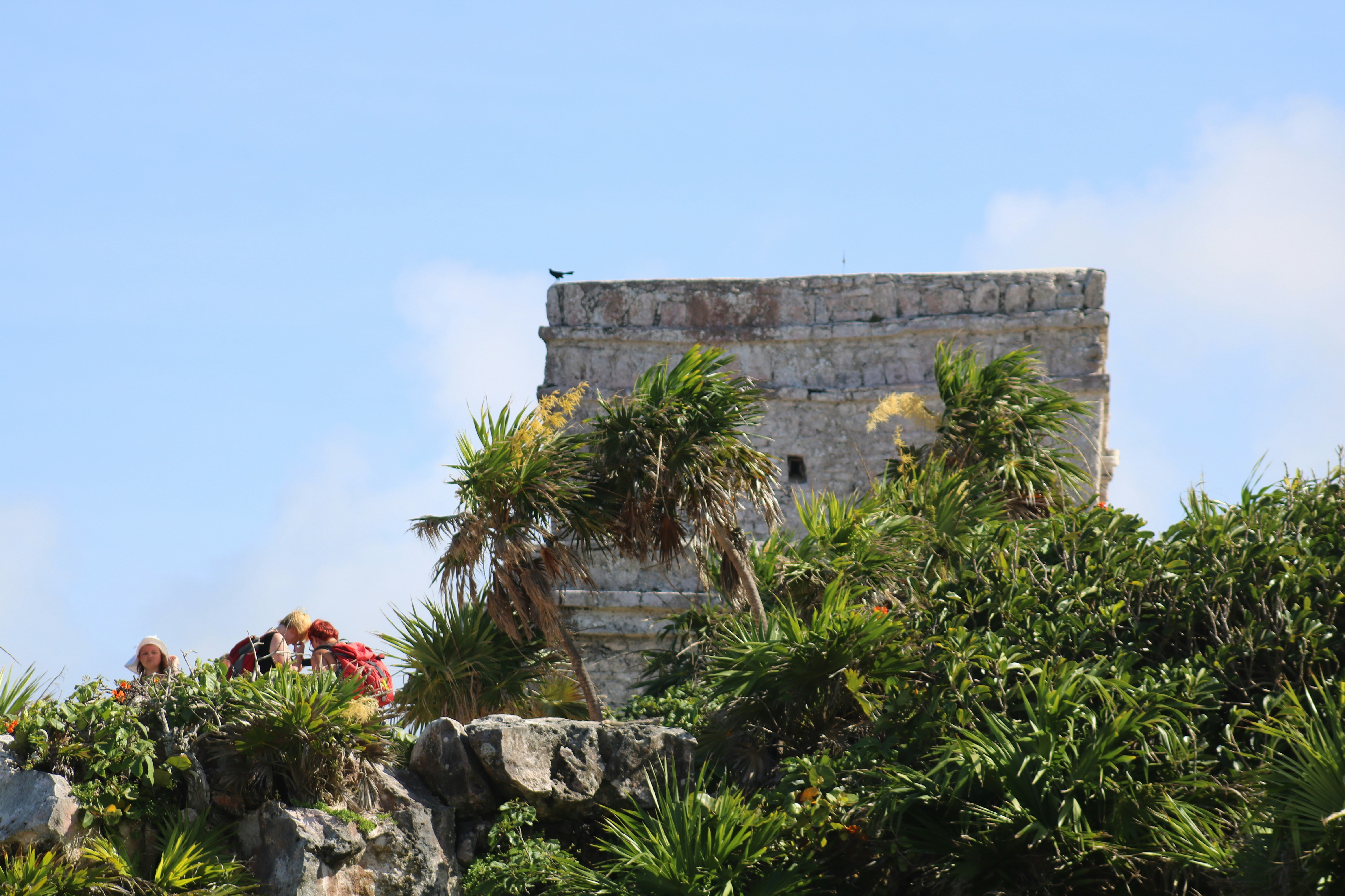 Cerulean Sky Over a Weathered Ruin Framed by Tropical Palms