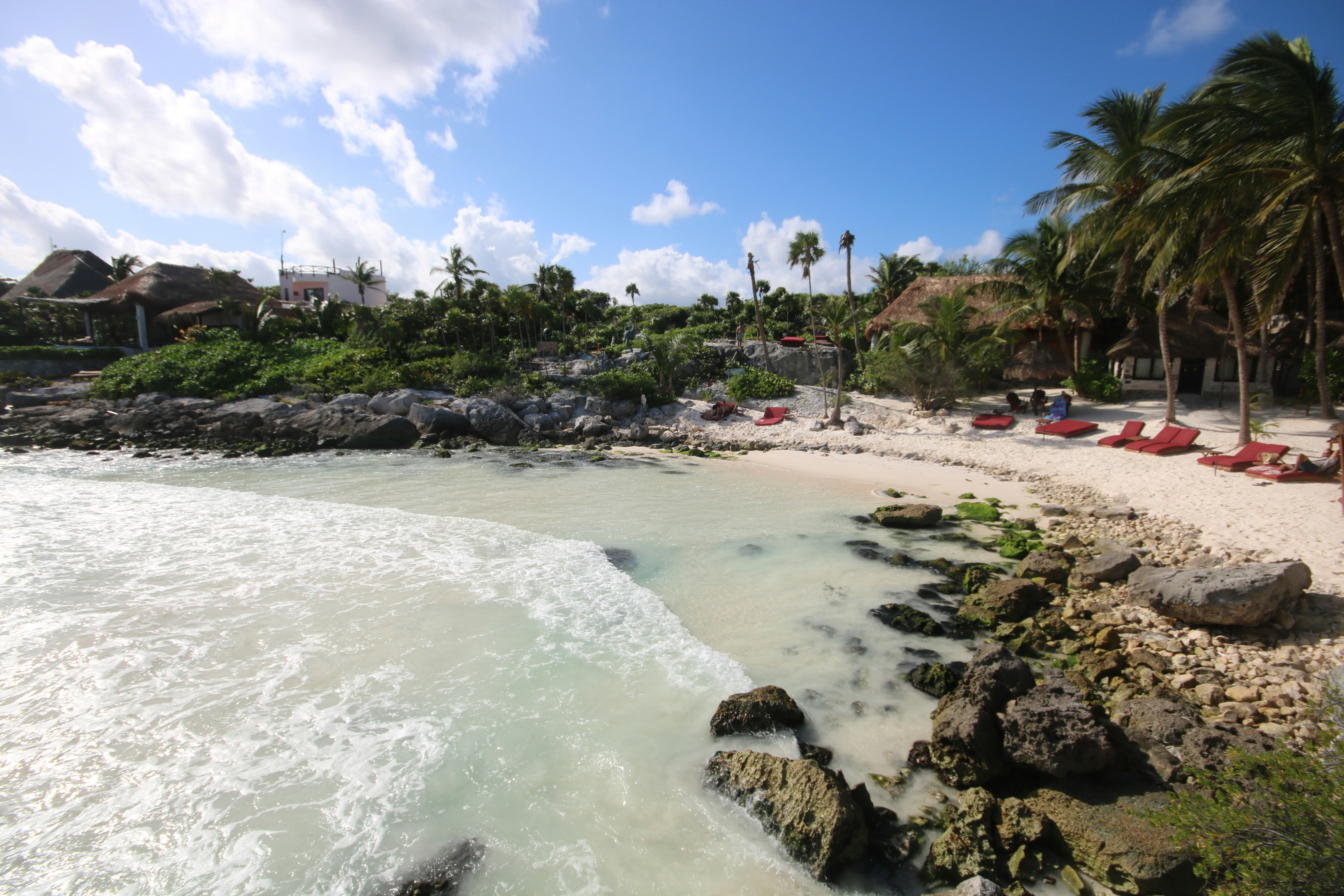 A sandy beach with palm trees and red lounge chairs photo – Free Mexico ...