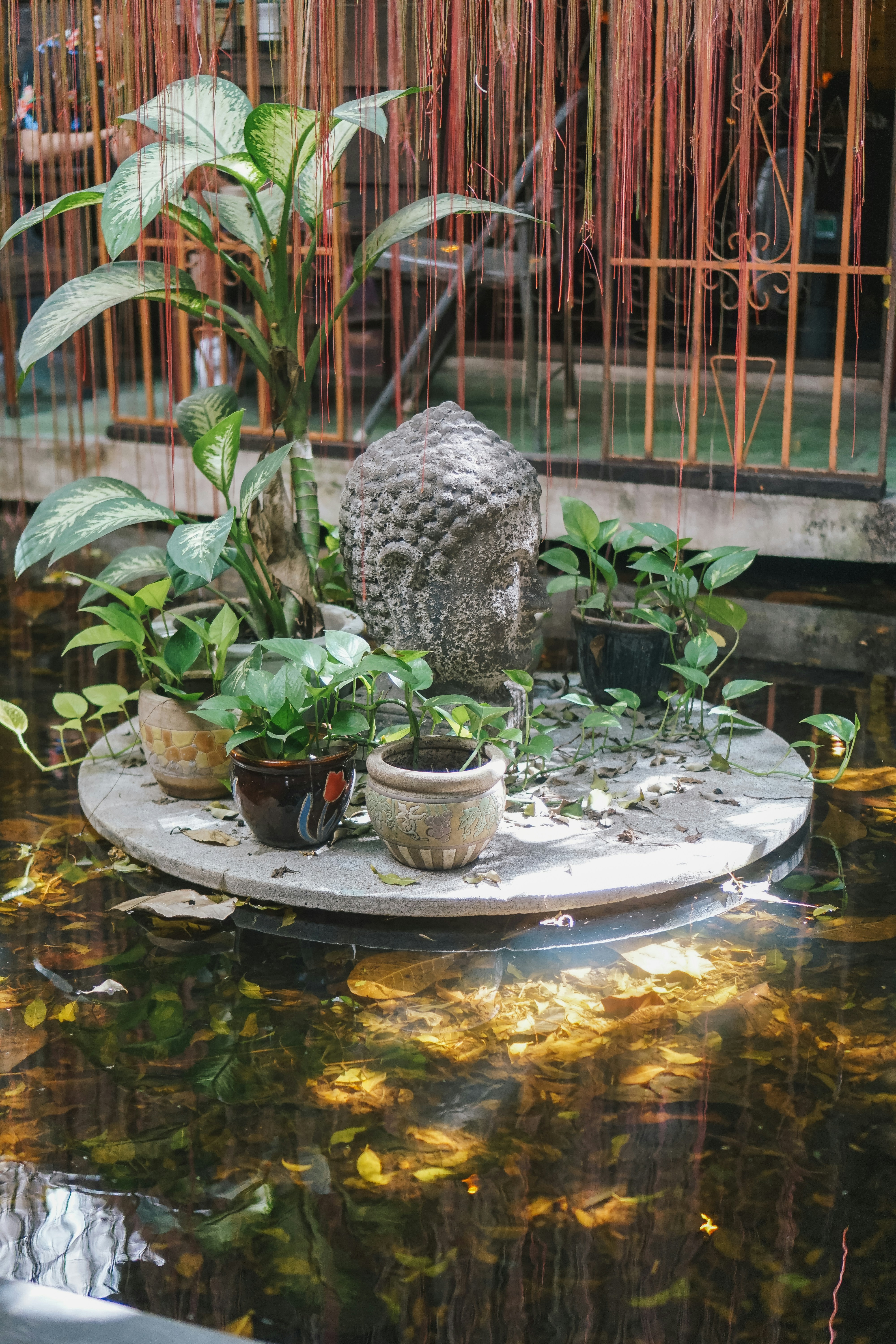 Floating Garden Shrine: Moss-Covered Buddha Among Pots on a Quiet Pond