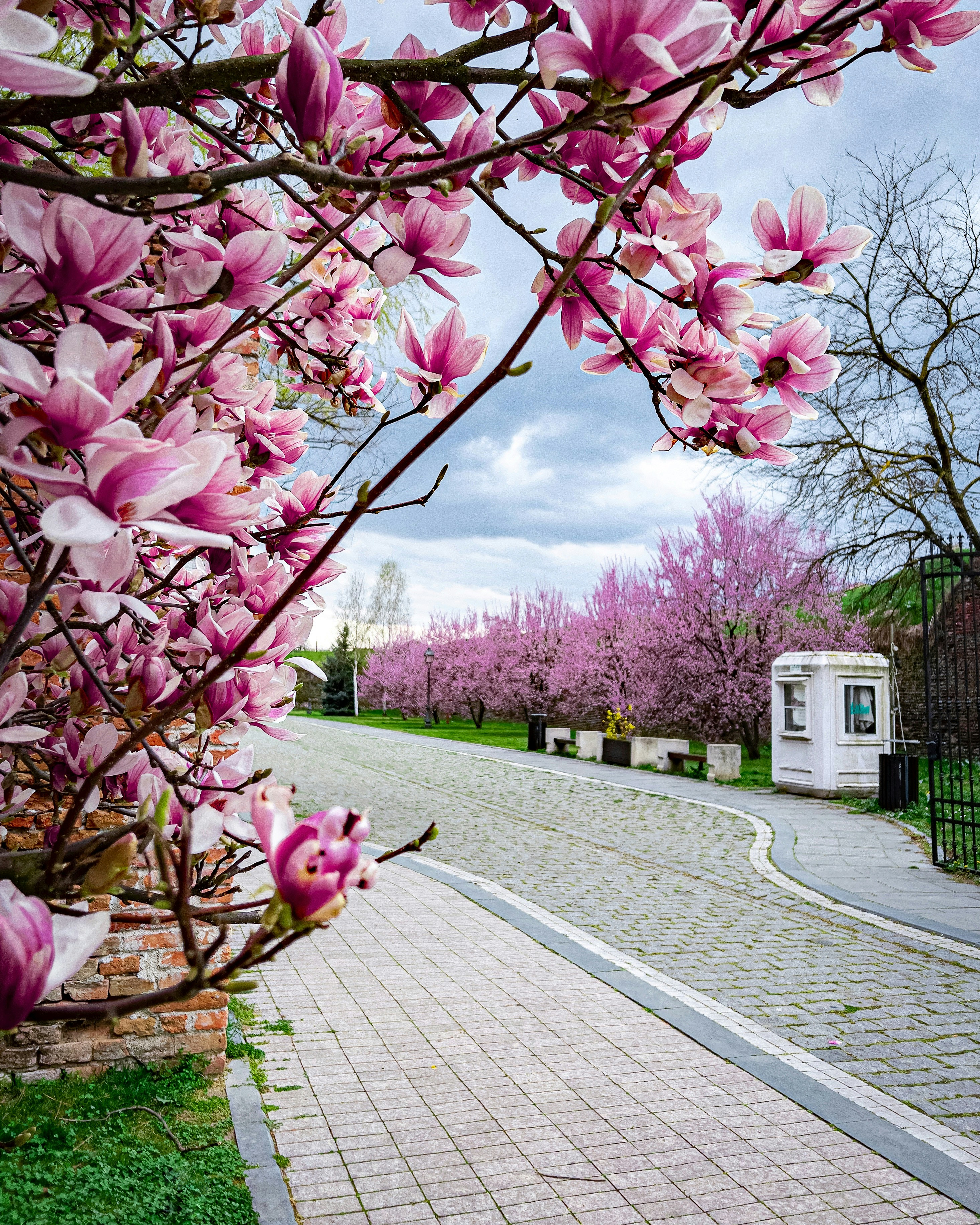 Nicoleta Radu (@nicoletaradu) | Komunitas Foto Unsplash