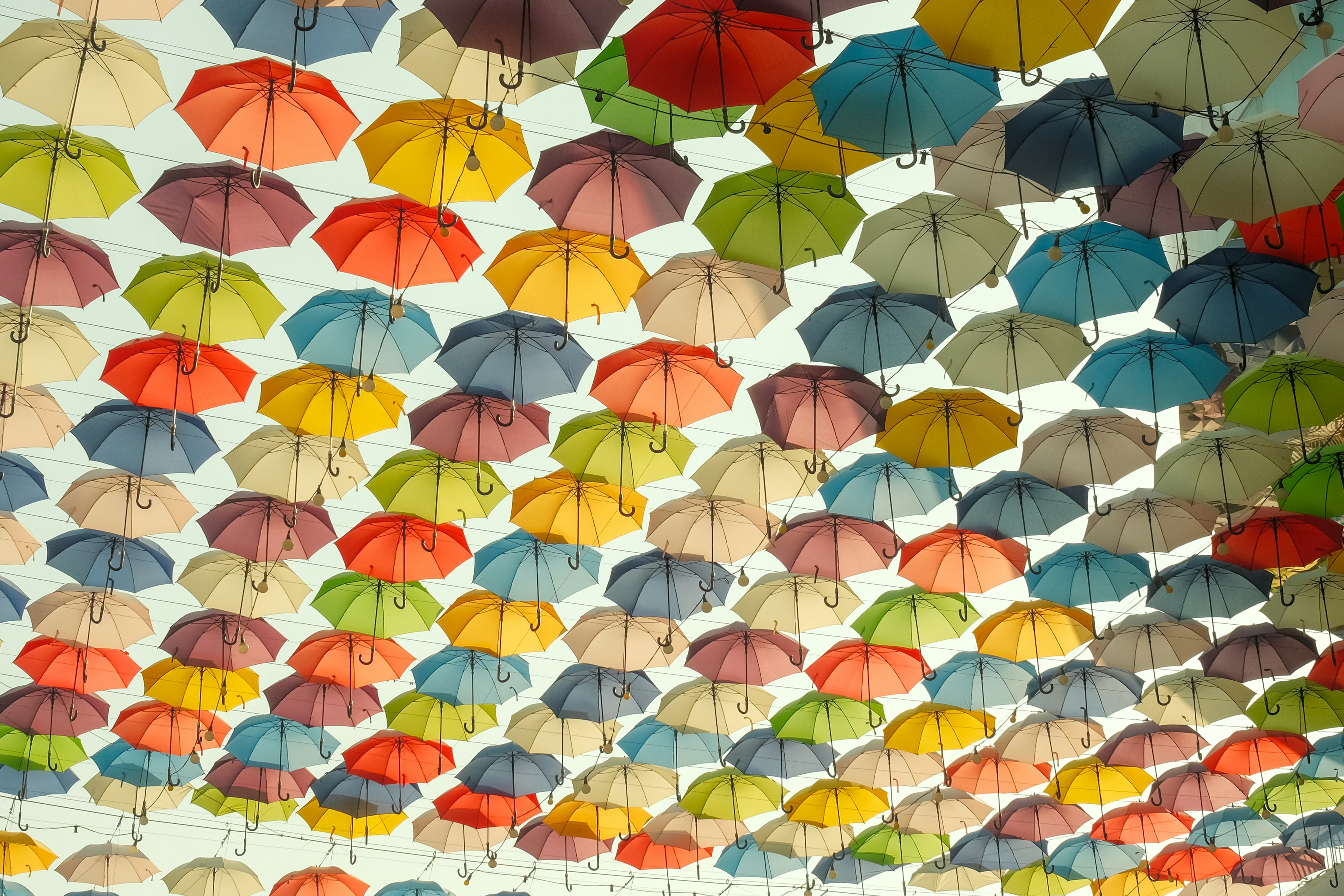 A bunch of umbrellas hanging from the ceiling photo – Free Songdo Image ...