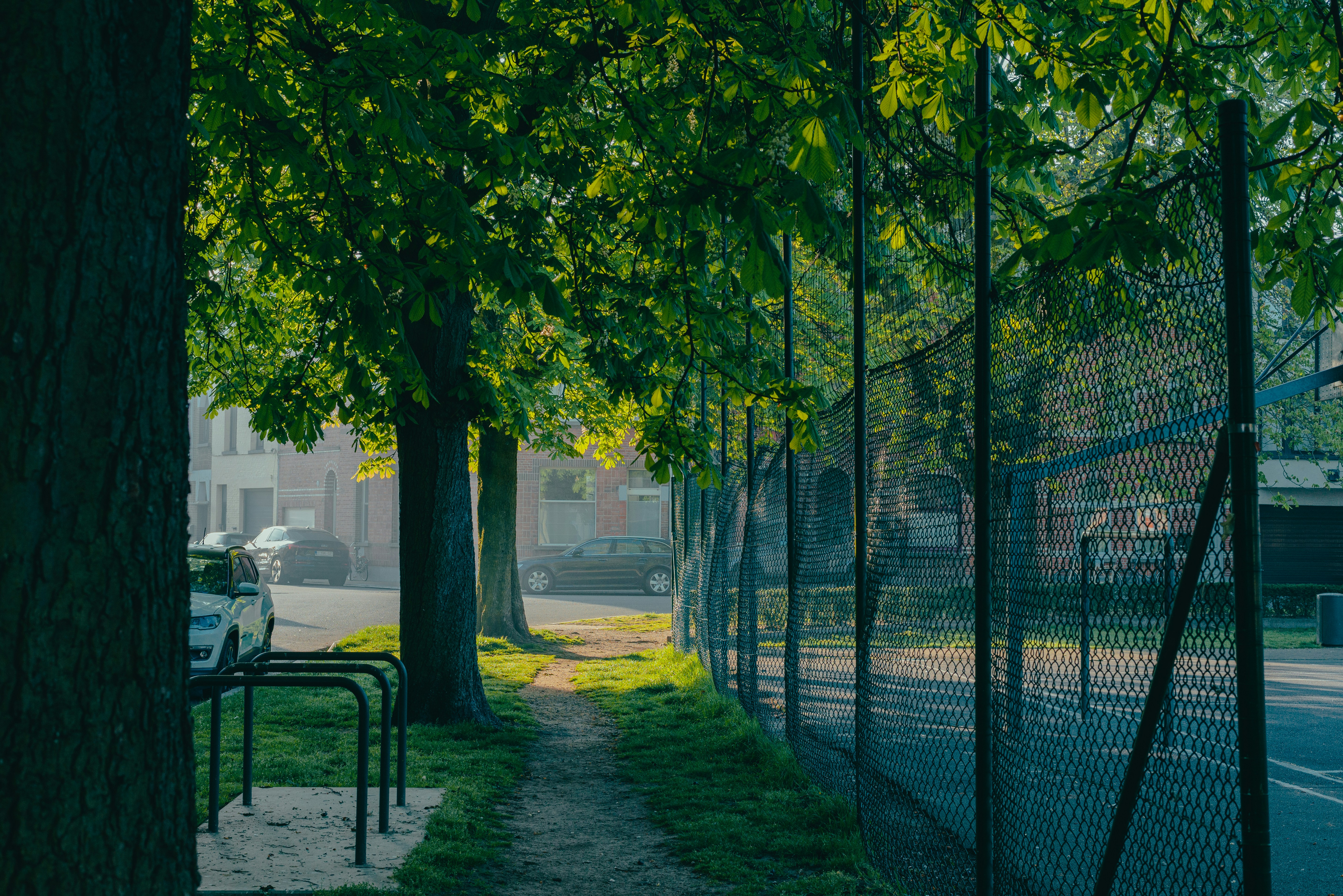 A path between two trees on a city street photo – Free Belgium Image on ...