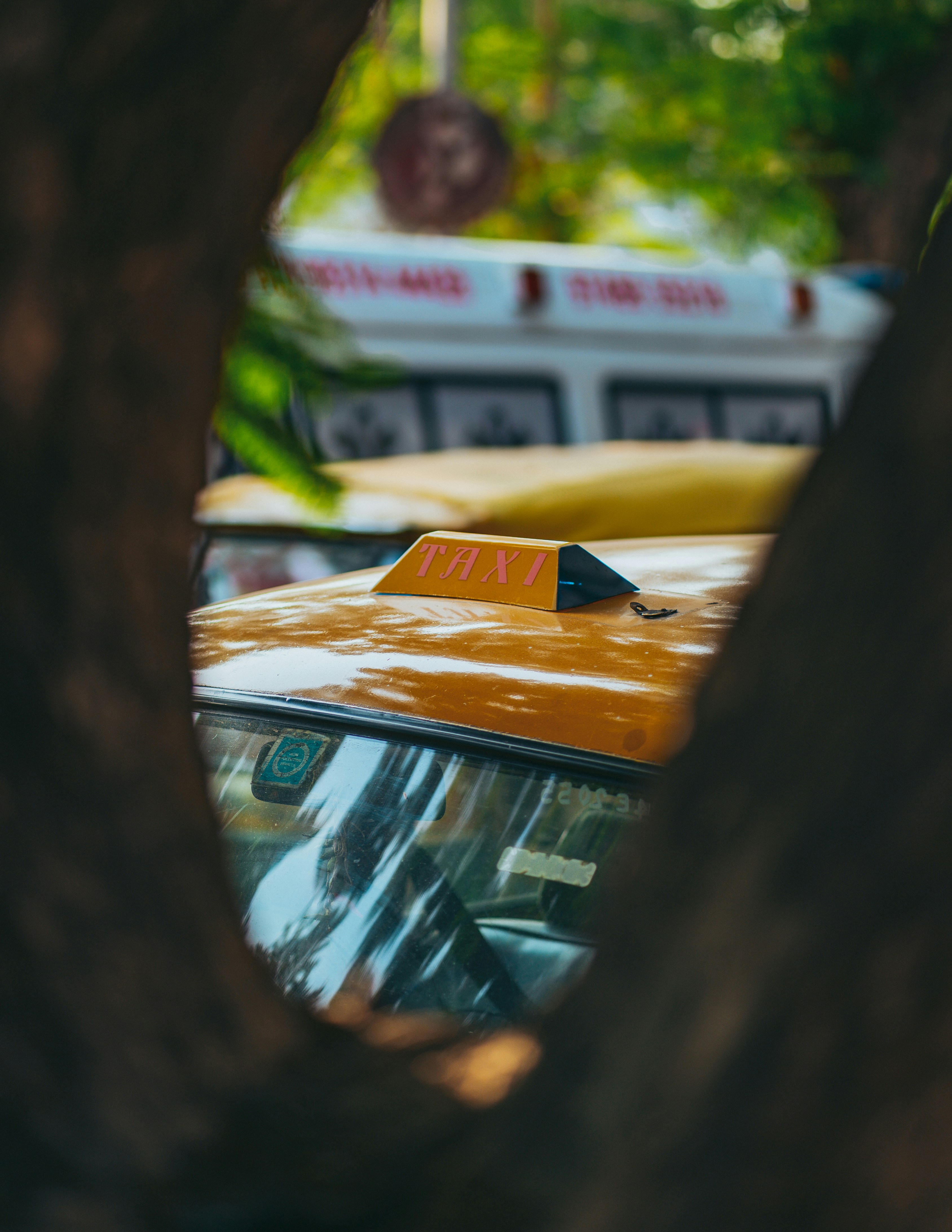 A taxi cab is seen through a tree photo – Free Car Image on Unsplash
