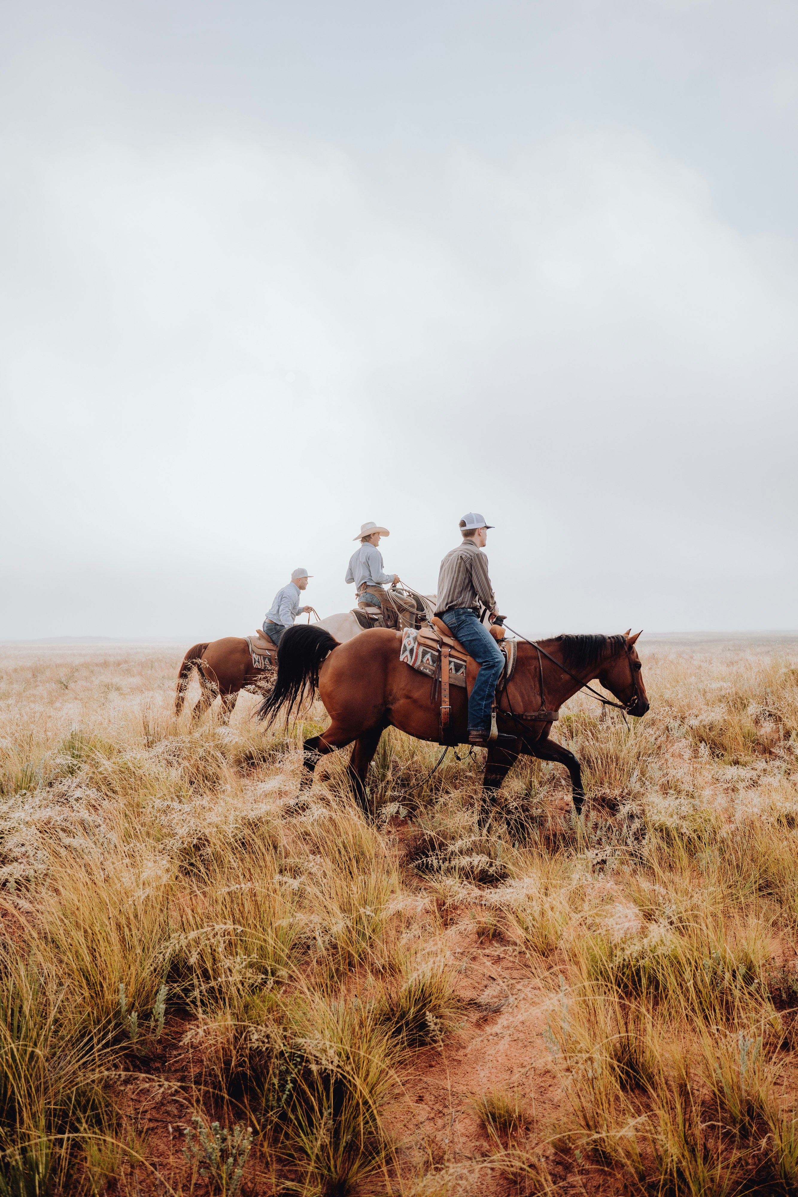 A group of people riding horses through a dry grass field photo – Free ...