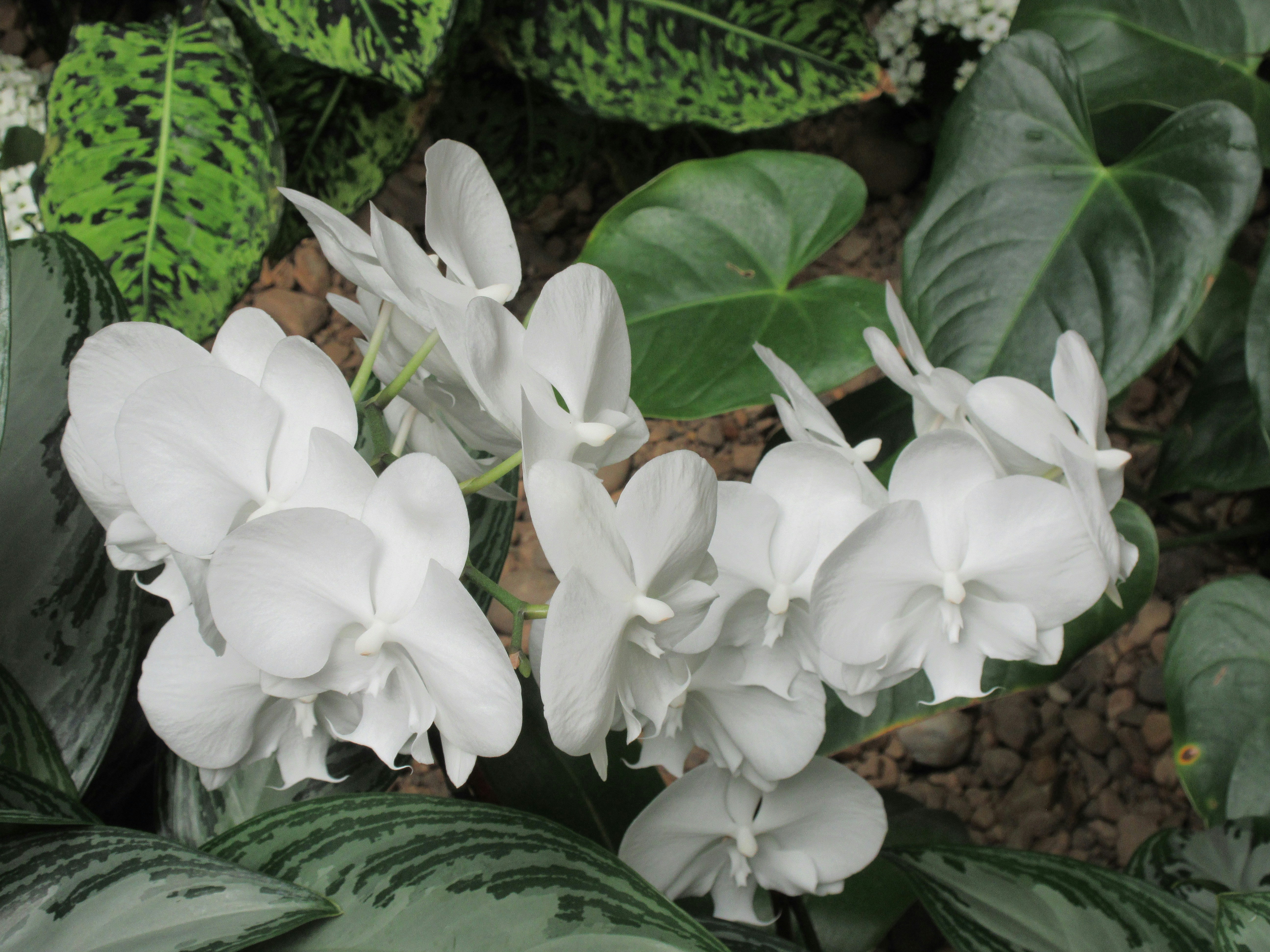 Patty Apostolides (@papostolides) | Comunidad de fotos de Unsplash