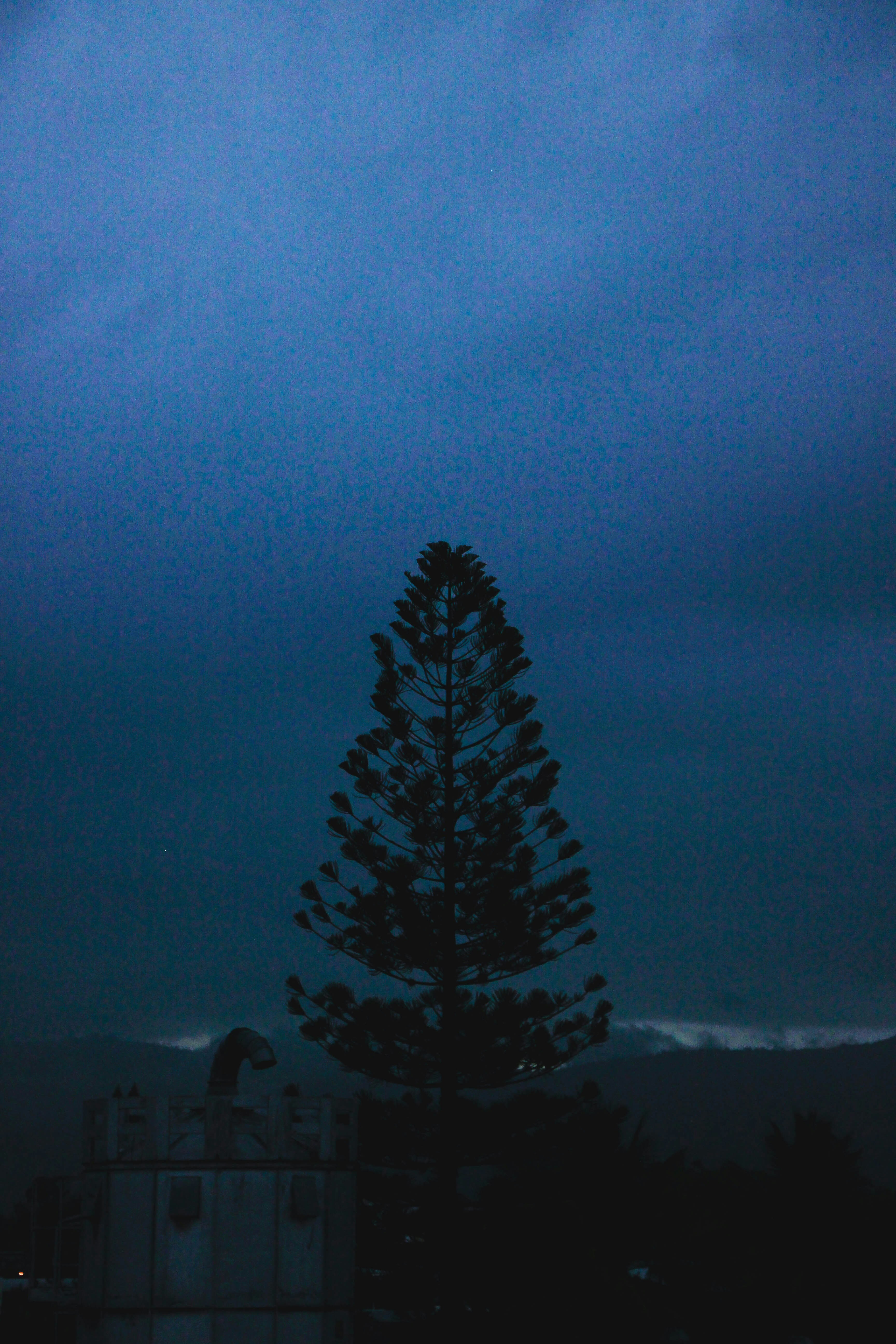 Lone Pine Silhouette Beneath Velvet Blue Dusk Over Industrial Foreground