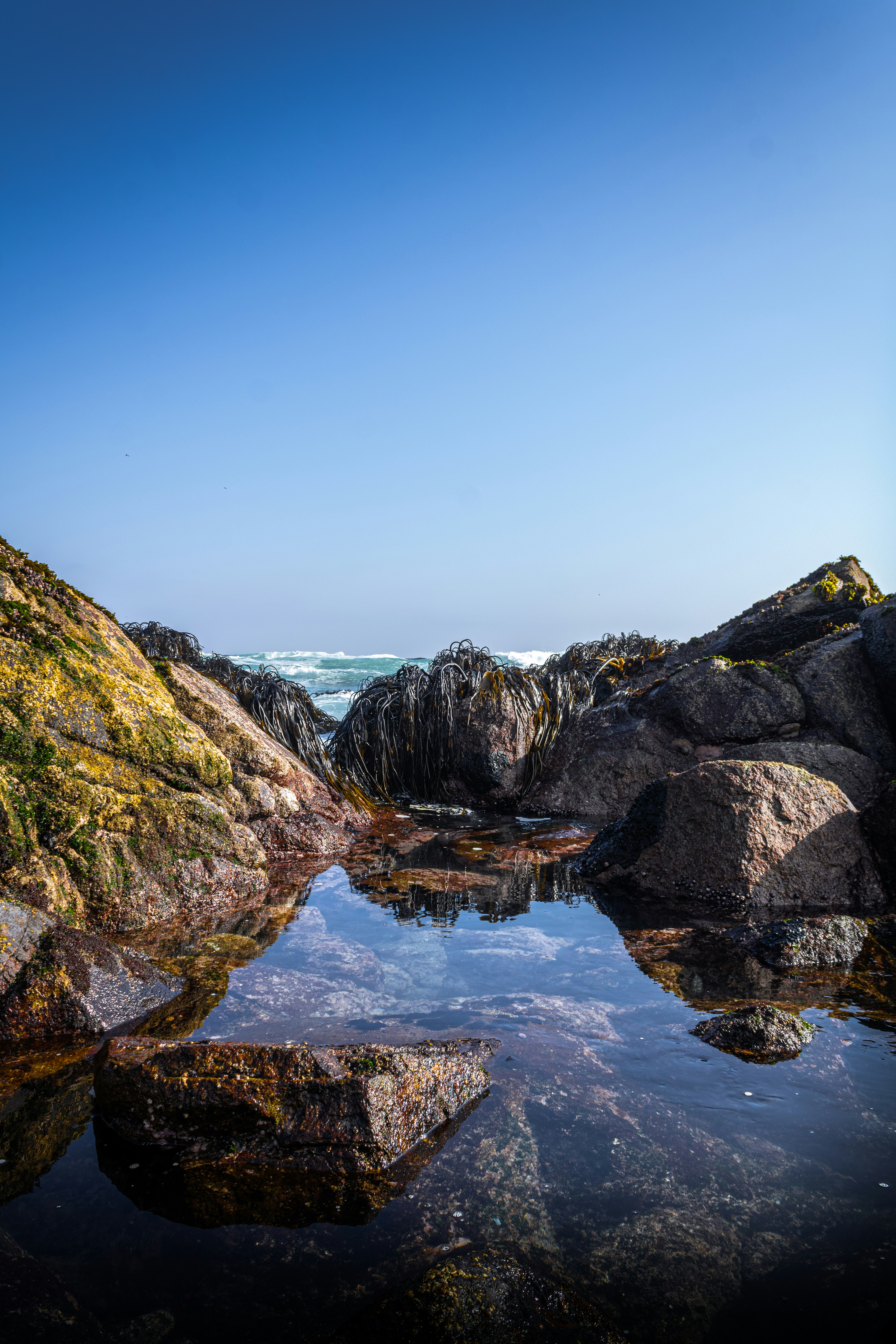 A body of water surrounded by rocks and grass photo – Free Blue Image ...