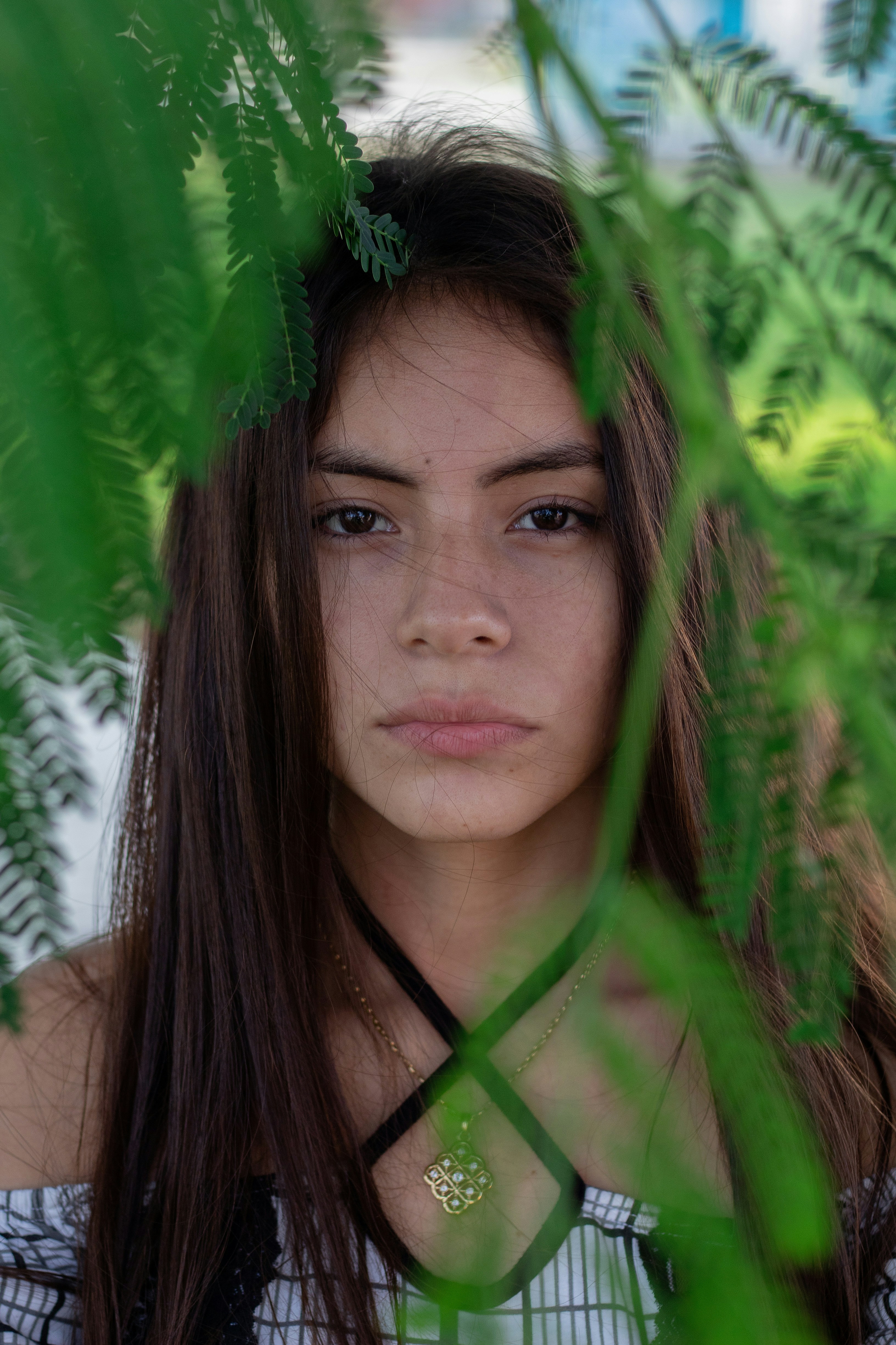 Hidden Fern Portrait: A Quiet Gaze Through Green Veils