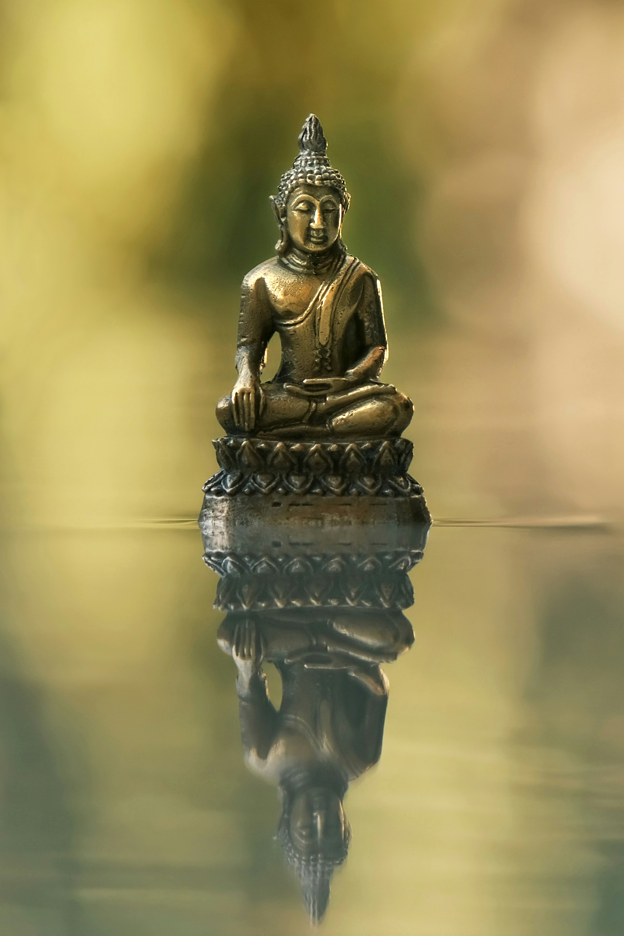 A buddha statue sitting on top of a body of water photo – Free Buddha ...