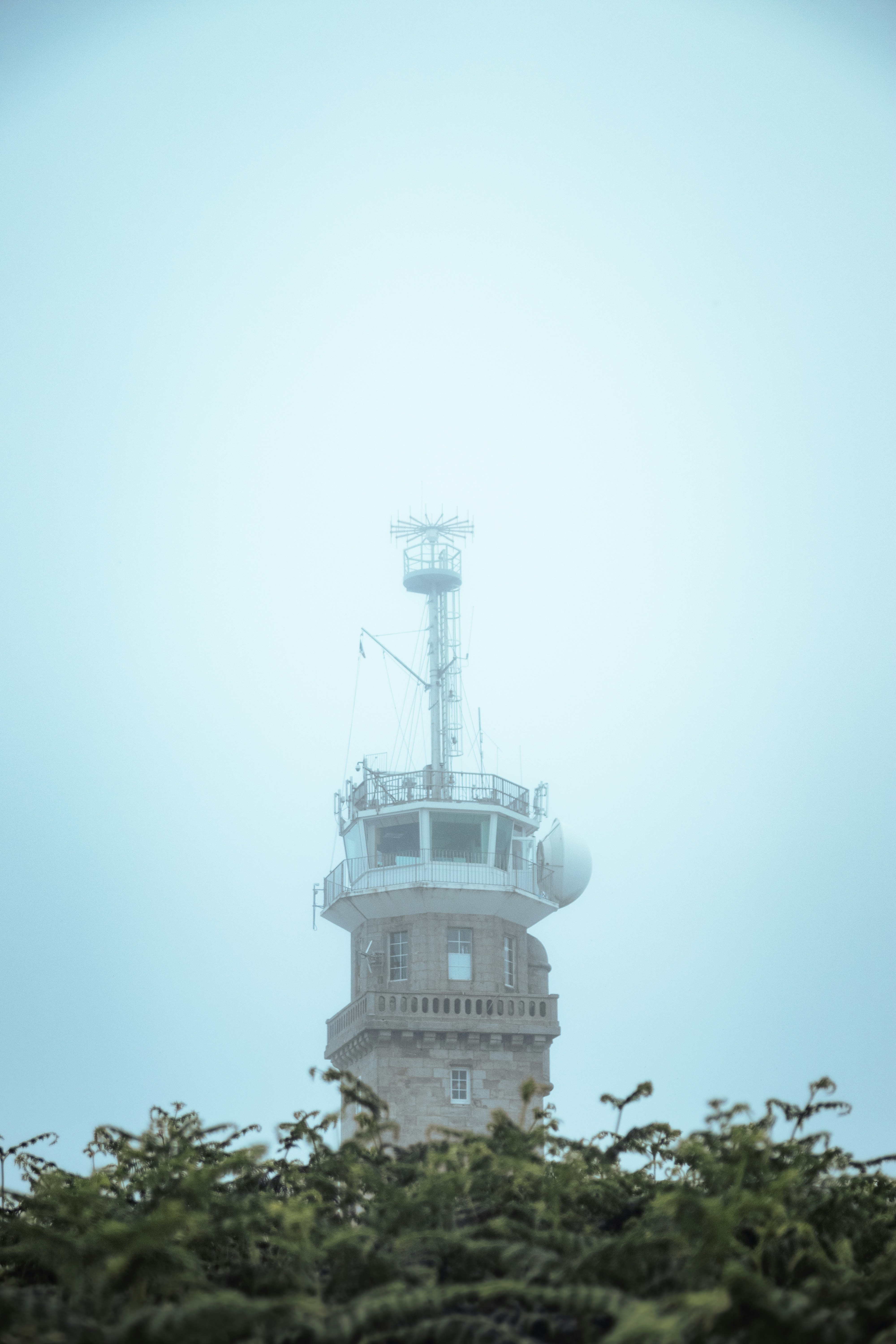 Foggy landscape featuring a communication tower emerging from dense greenery. The atmosphere conveys a sense of mystery and solitude.