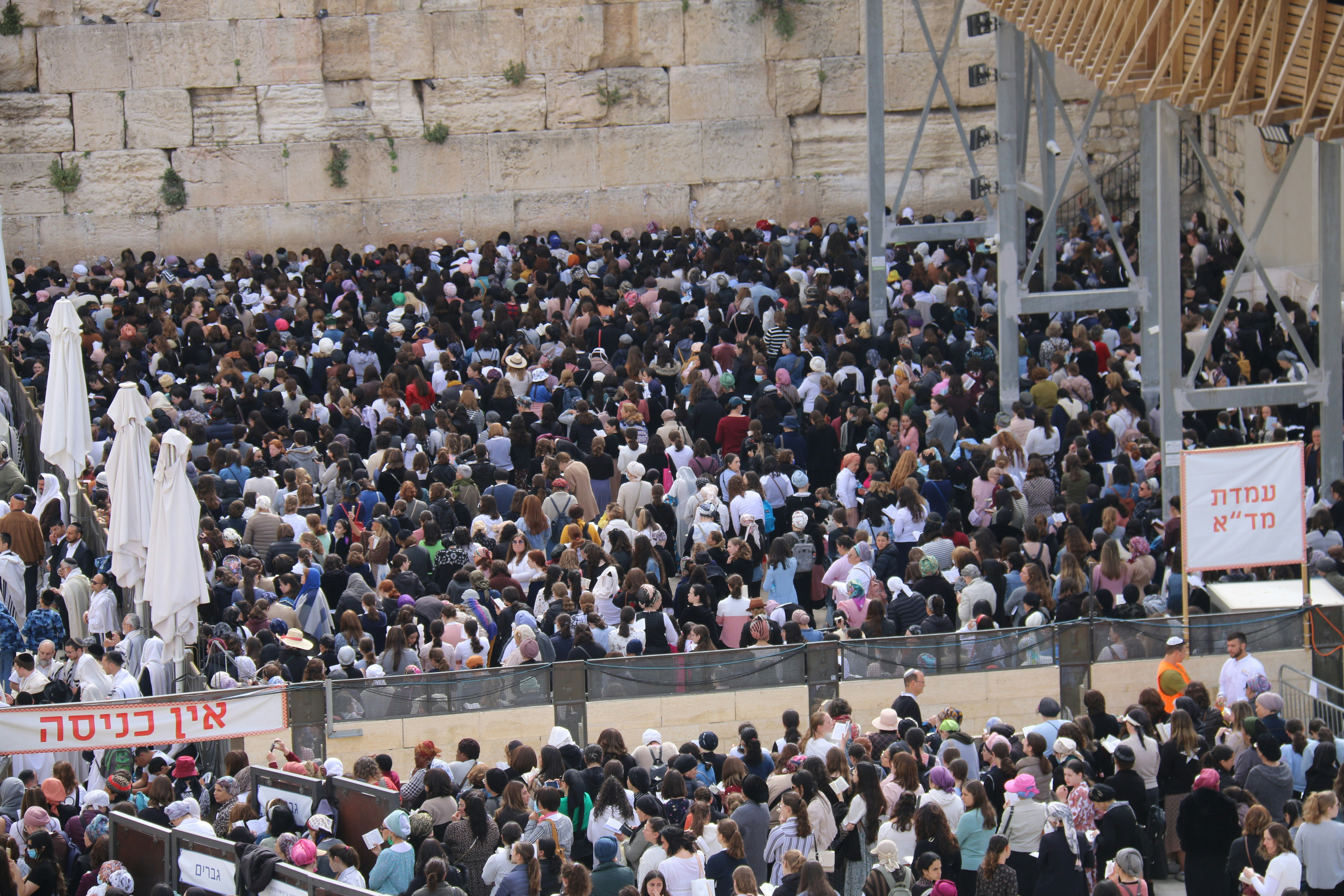 A large crowd of people standing around a building photo – Free Human ...