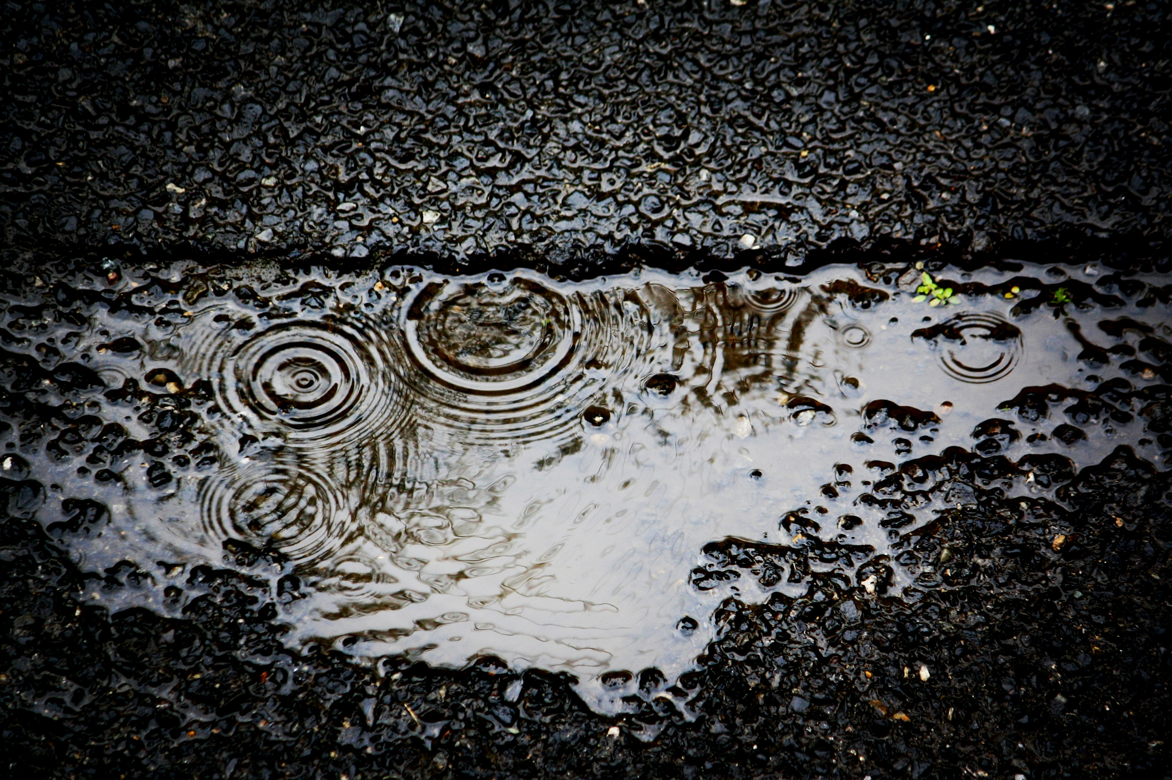 A puddle of water that is reflecting the sky photo – Free Grey Image on ...